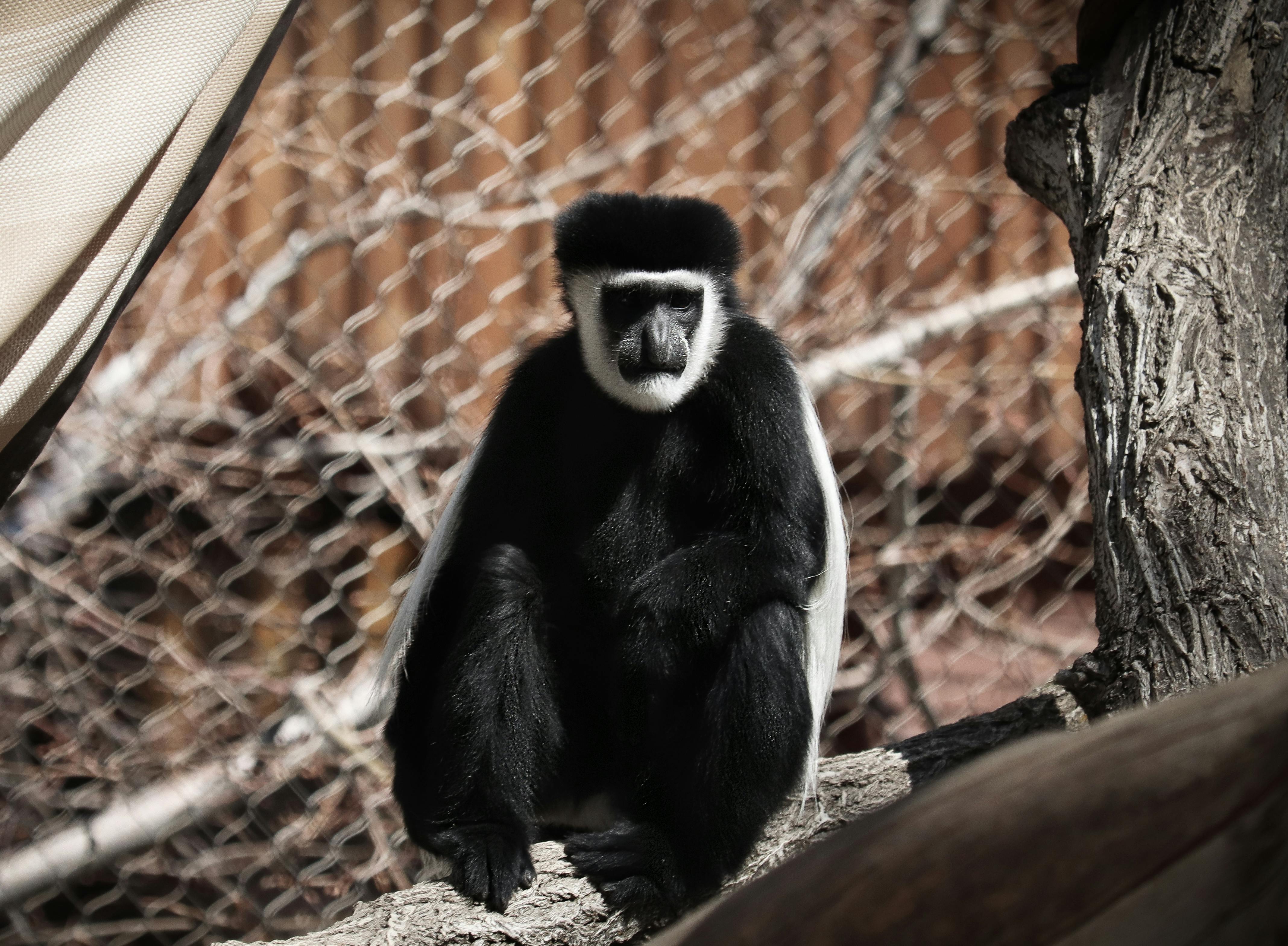 Anthony Gomez - Photography