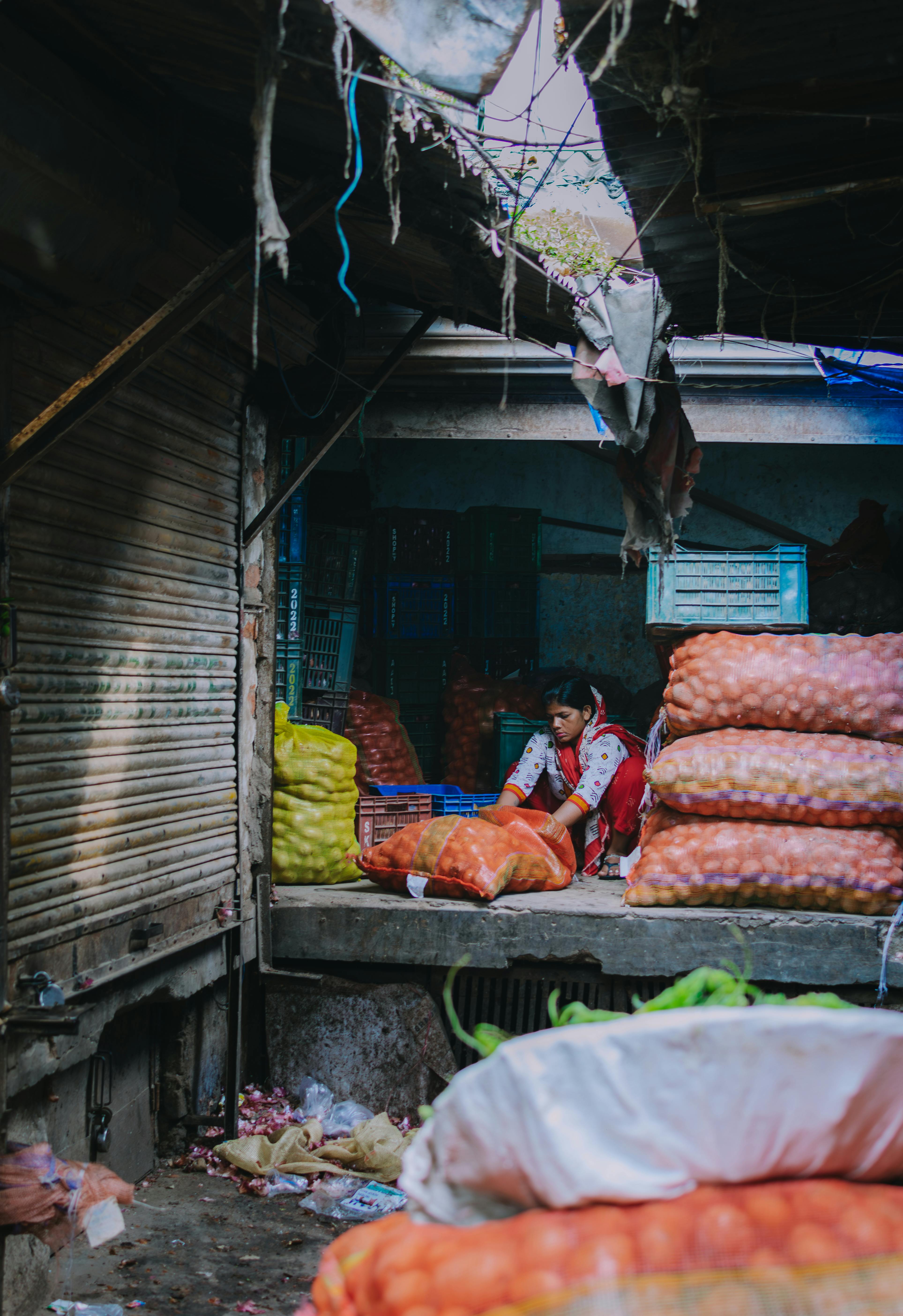 Woman Pulling Big Sack with Vegetables · Free Stock Photo