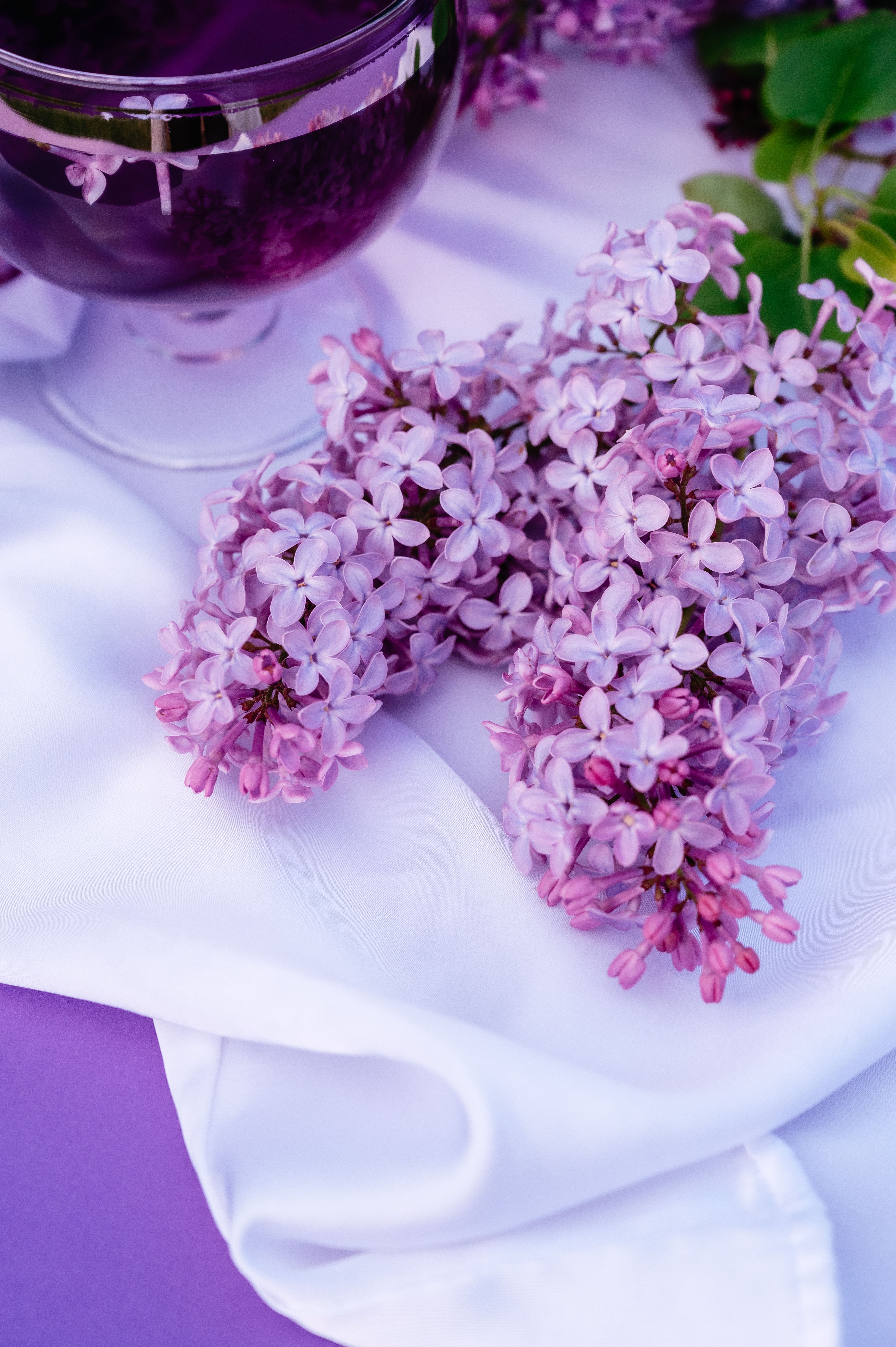 Bouquet of lilac lilacs on a purple background. Lilac, purple ...