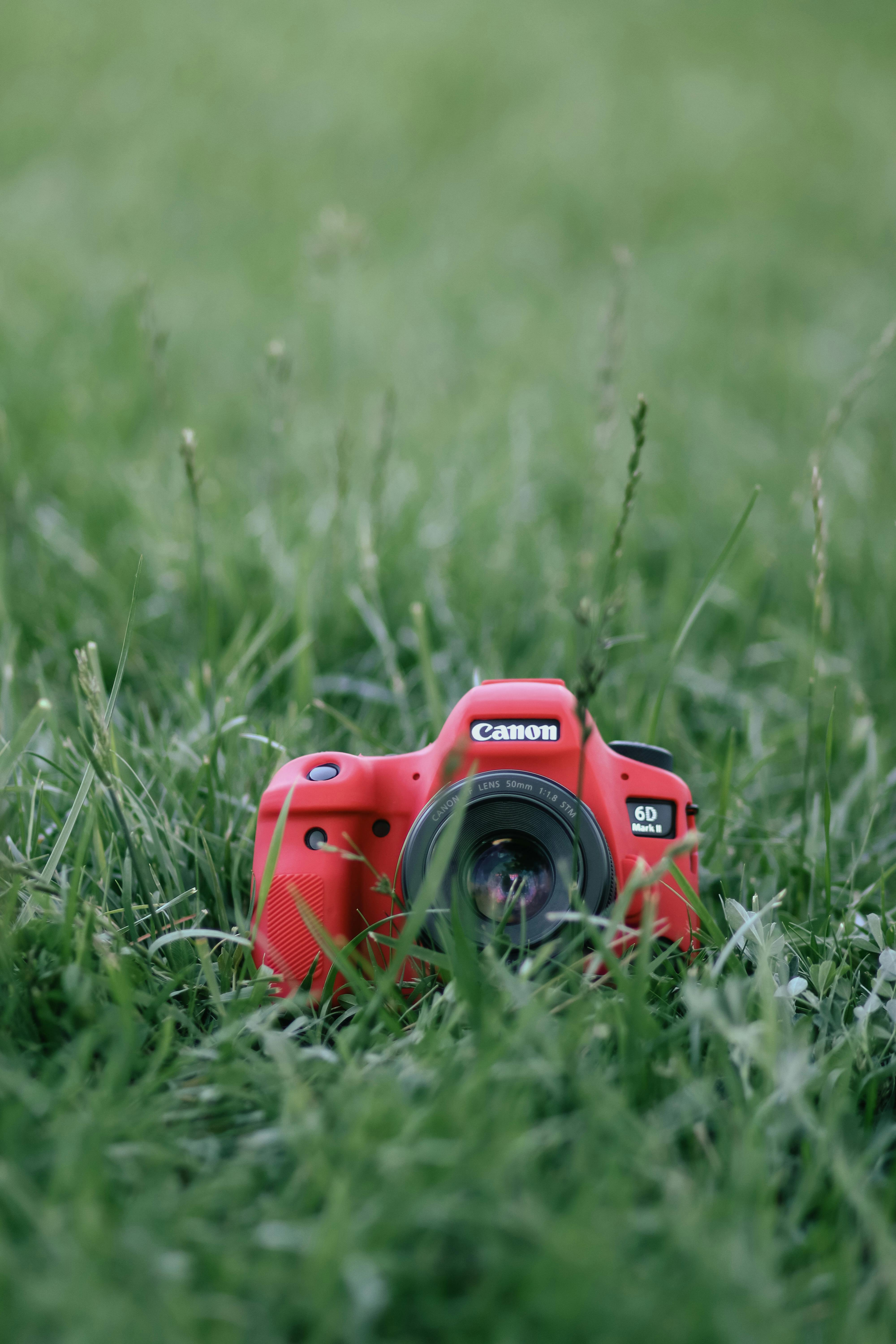 Red Canon Camera on Grass · Free Stock Photo