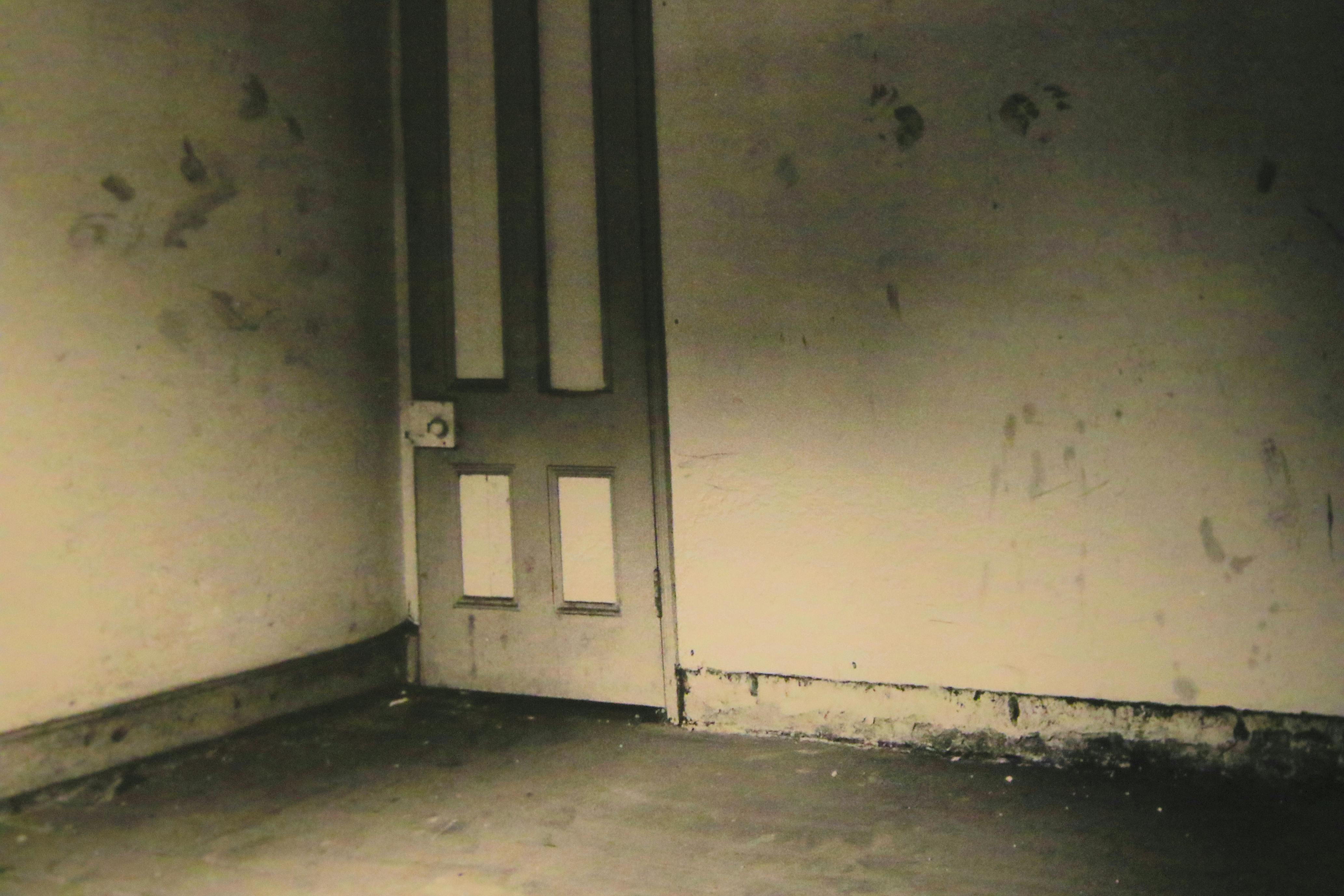 James Ranieri - 사진