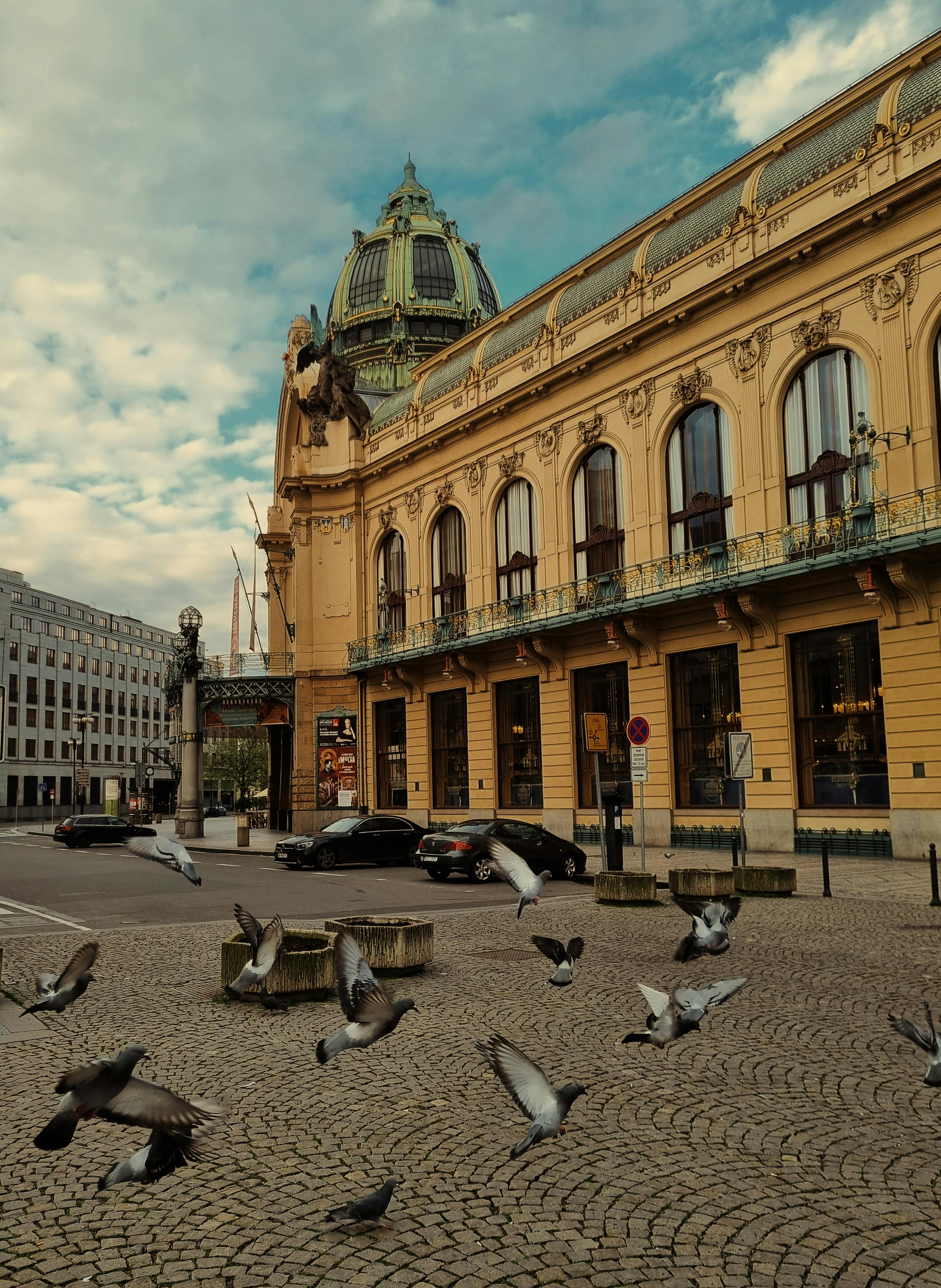 Dum Volgt Photos, Download The BEST Free Dum Volgt Stock Photos & HD Images