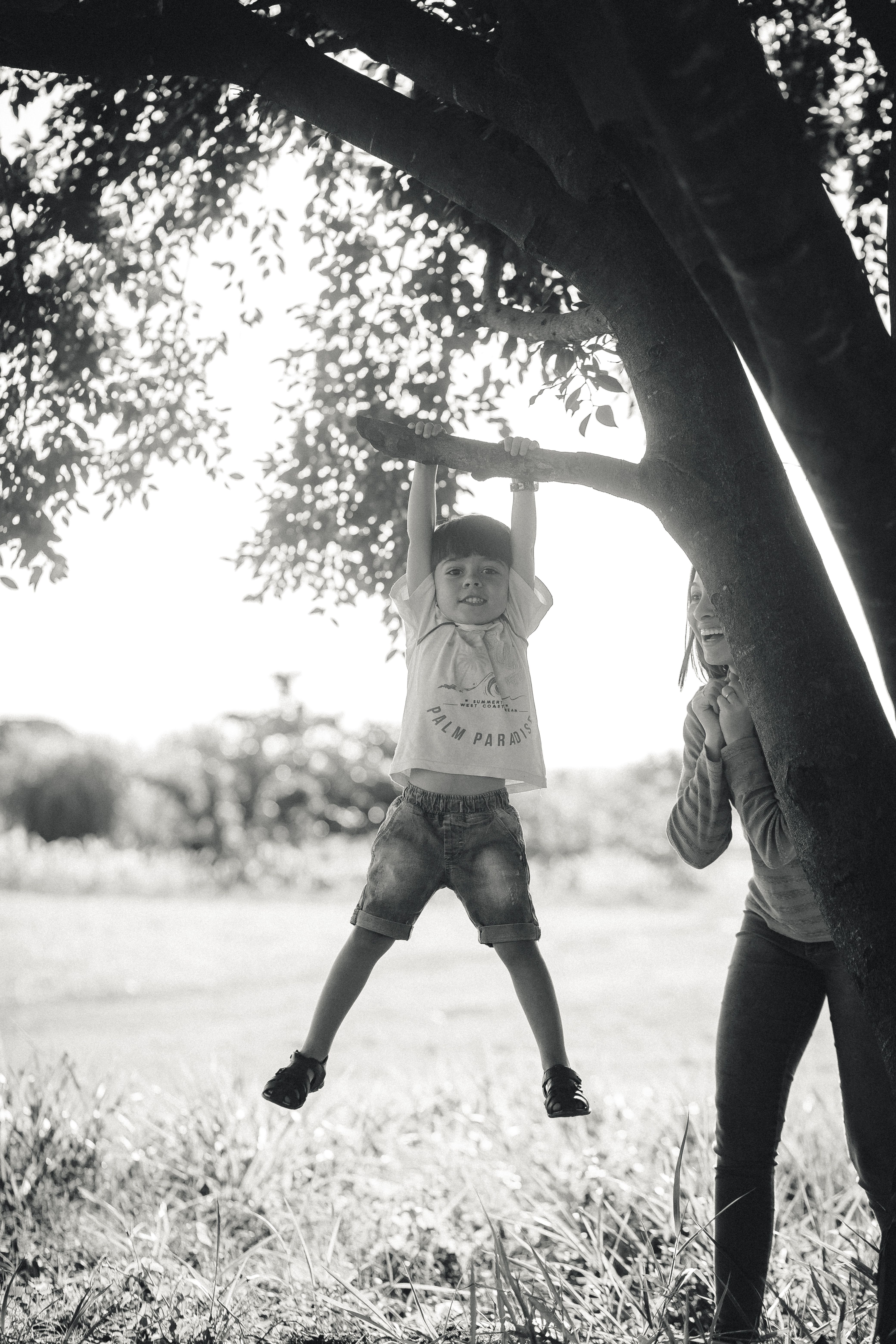 Cute Boy Hanging on Tree Branch on Countryside · Free Stock Photo