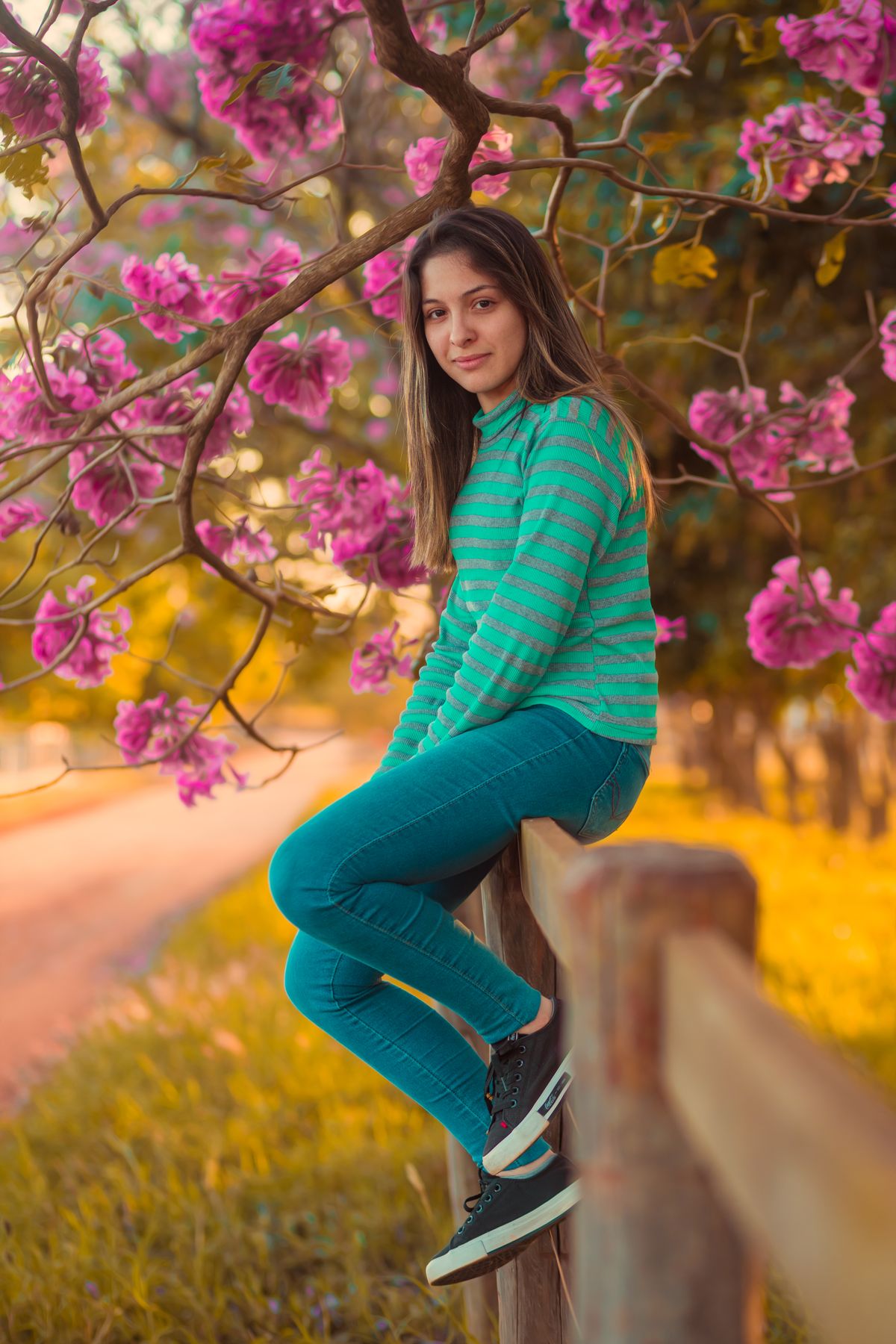 Girl Sitting Sunset Photos, Download The BEST Free Girl Sitting Sunset ...