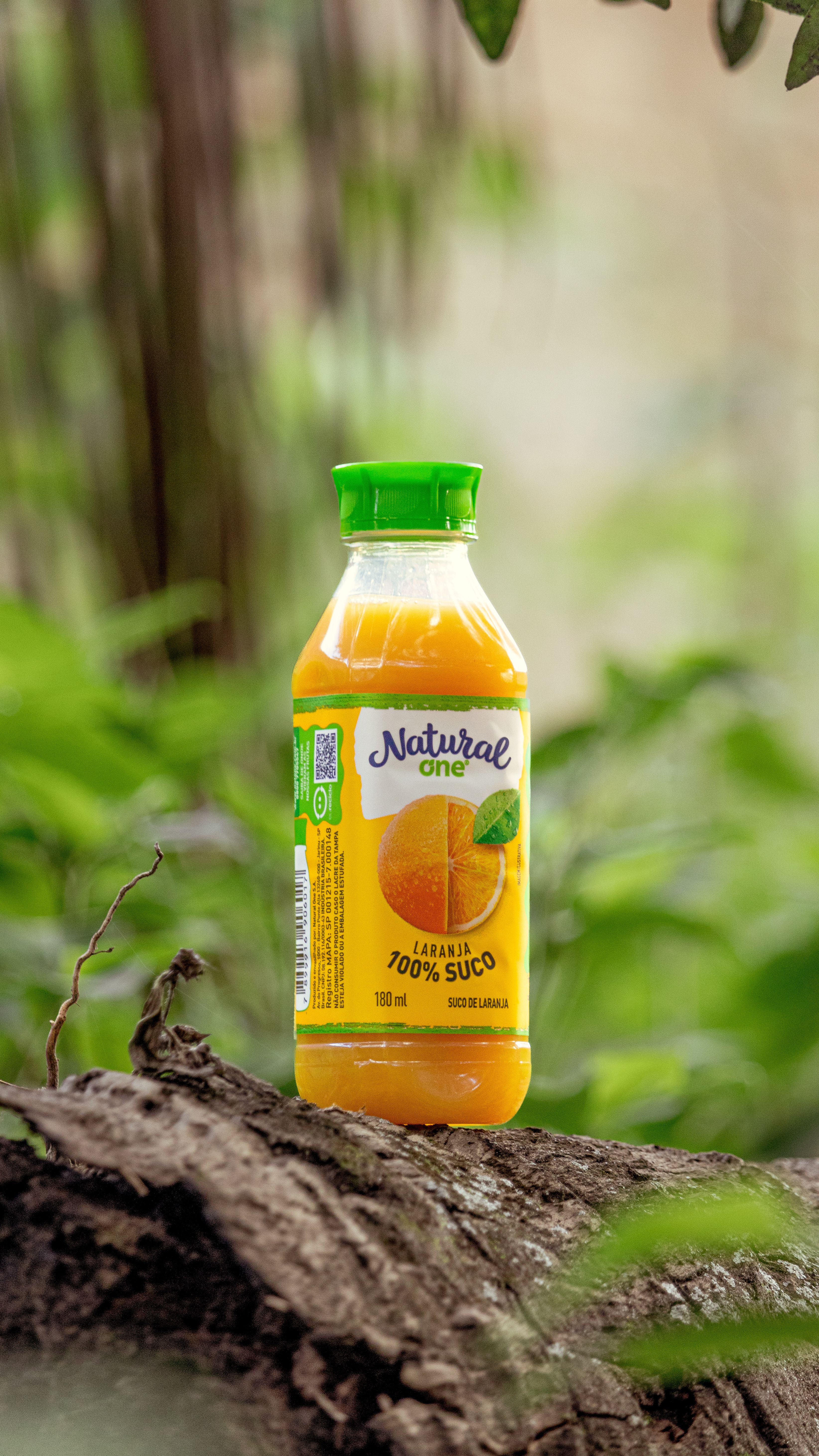 A Bottle of Orange Juice Standing on a Tree Log in a Forest · Free ...