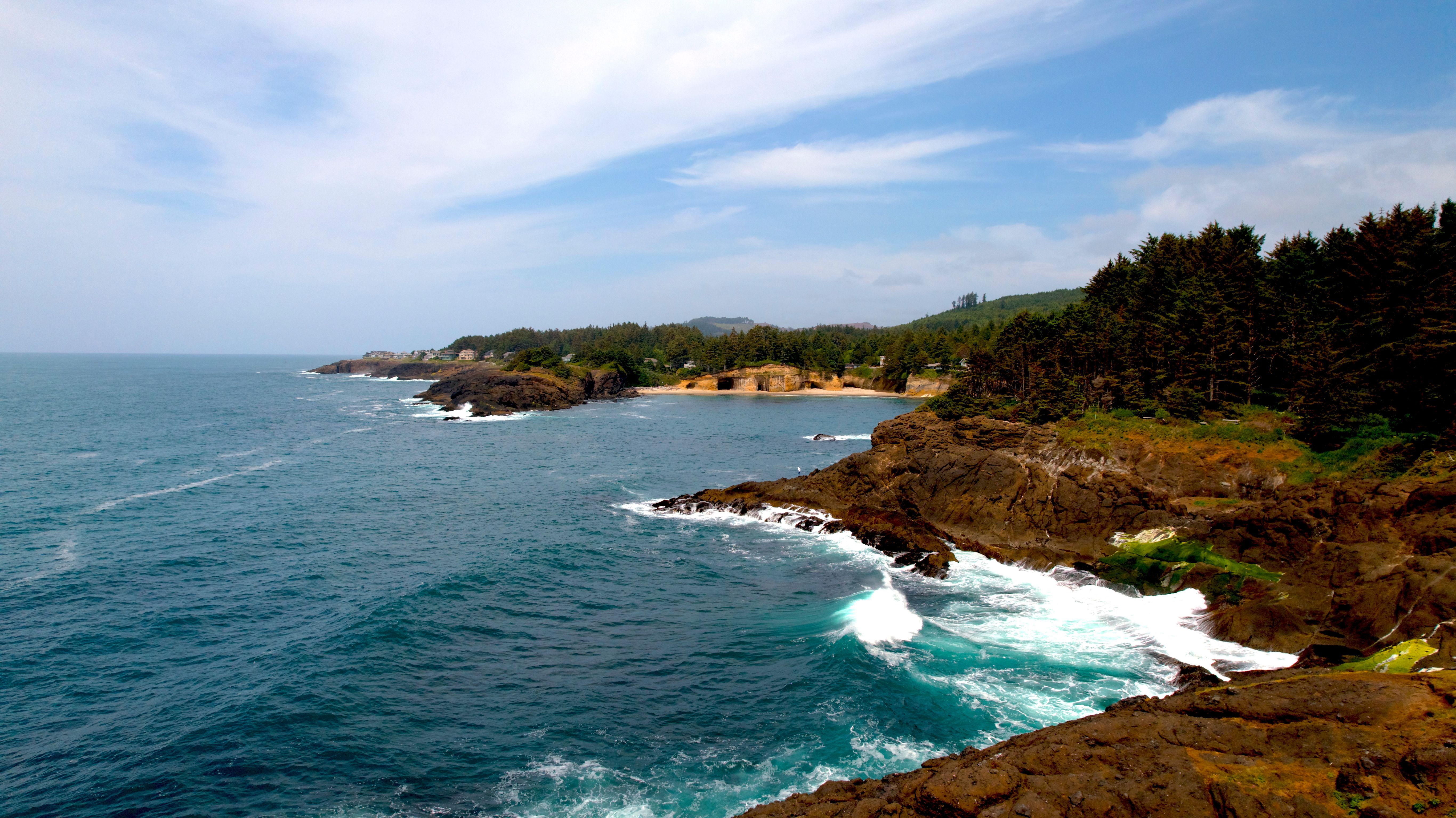 Forest on Cliff on Seashore · Free Stock Photo
