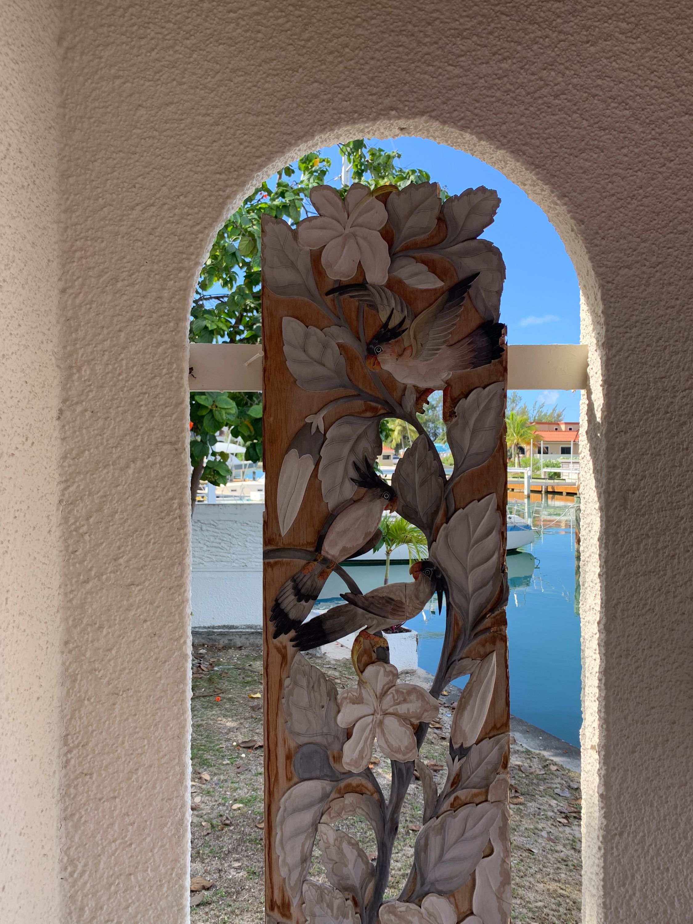 Crab Window Photos, Download The BEST Free Crab Window Stock Photos ...