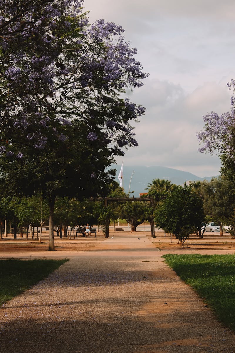 Fork Path Photos, Download The BEST Free Fork Path Stock Photos & HD Images