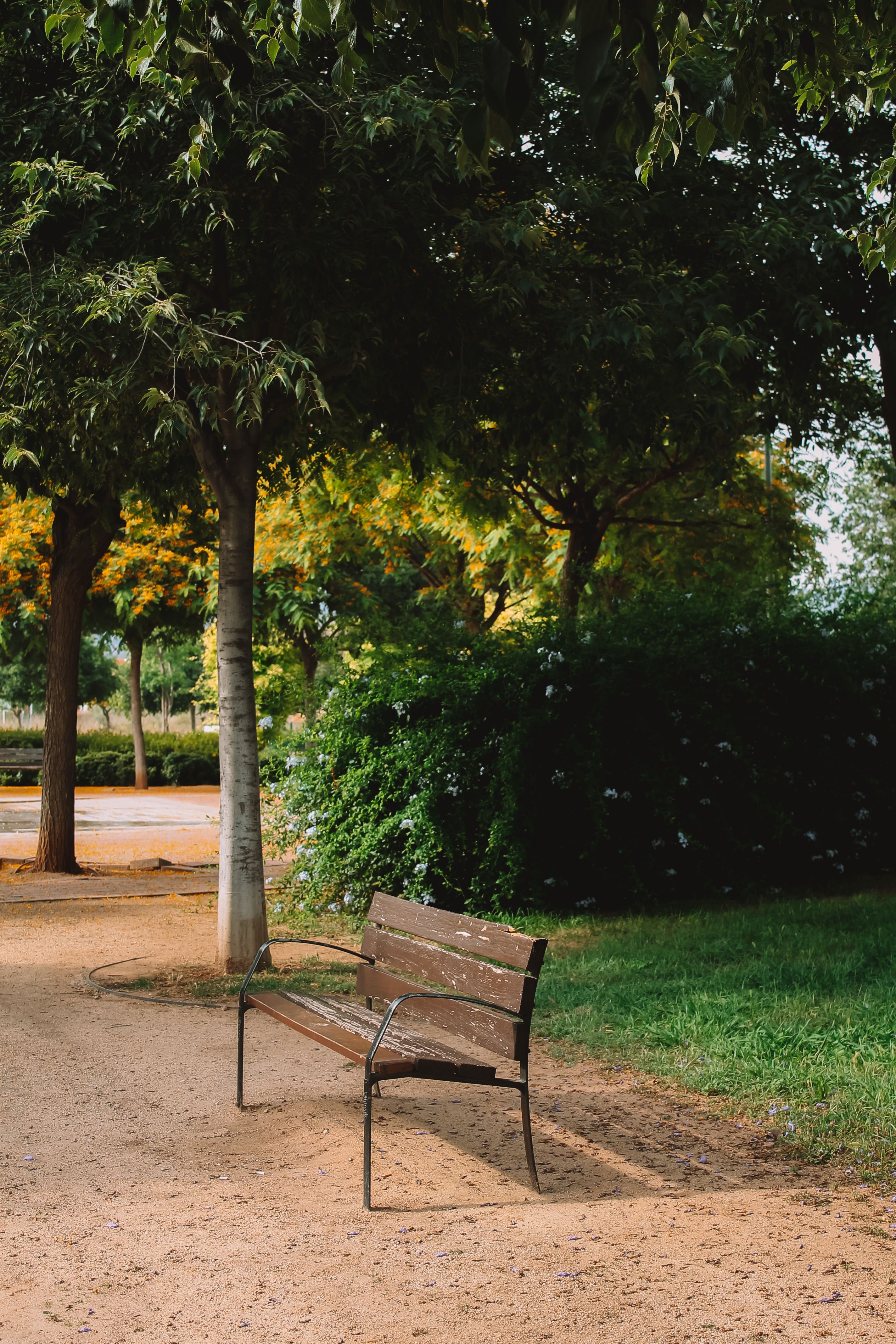 Bench in the Park · Free Stock Photo