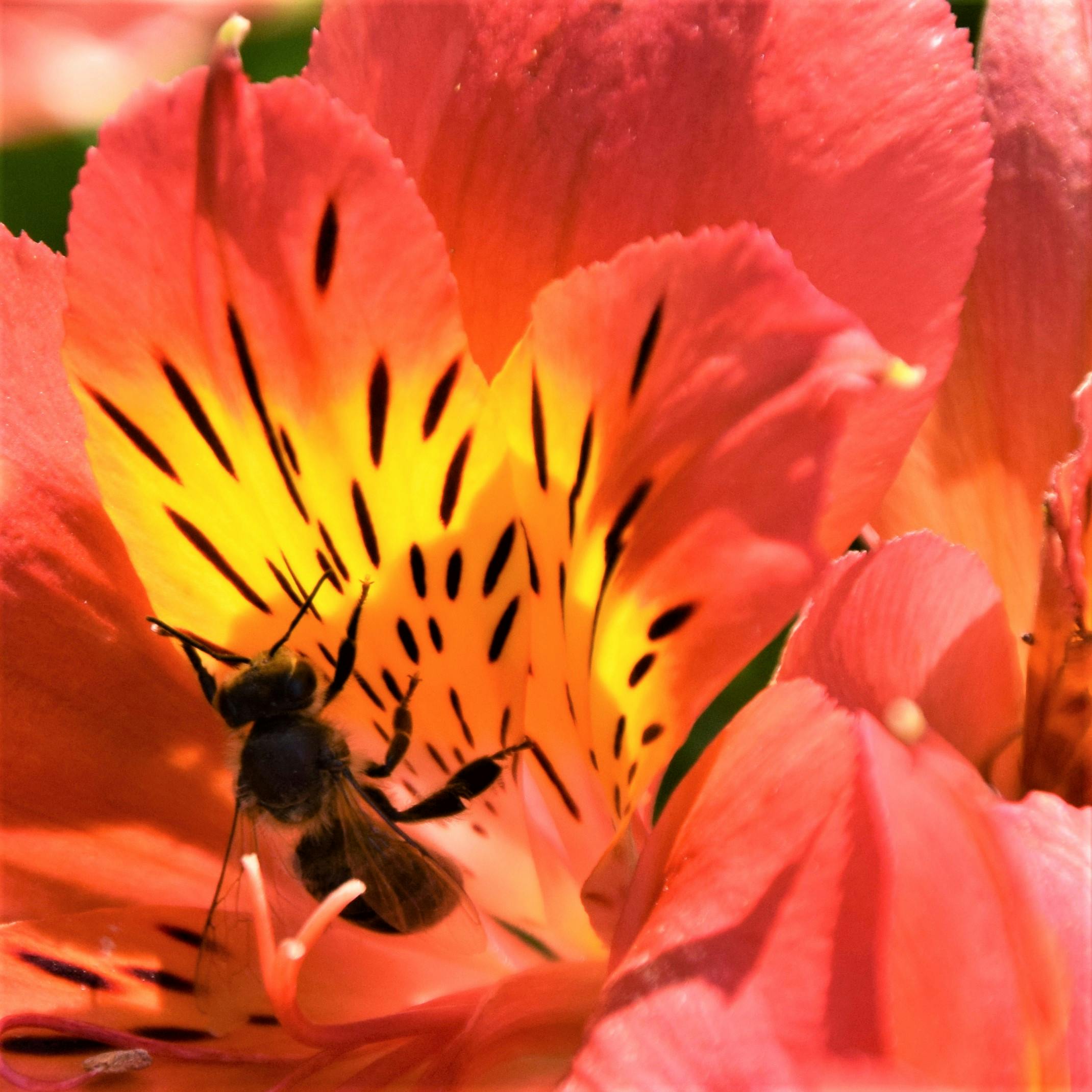 Isabelle Borg – Fotografia