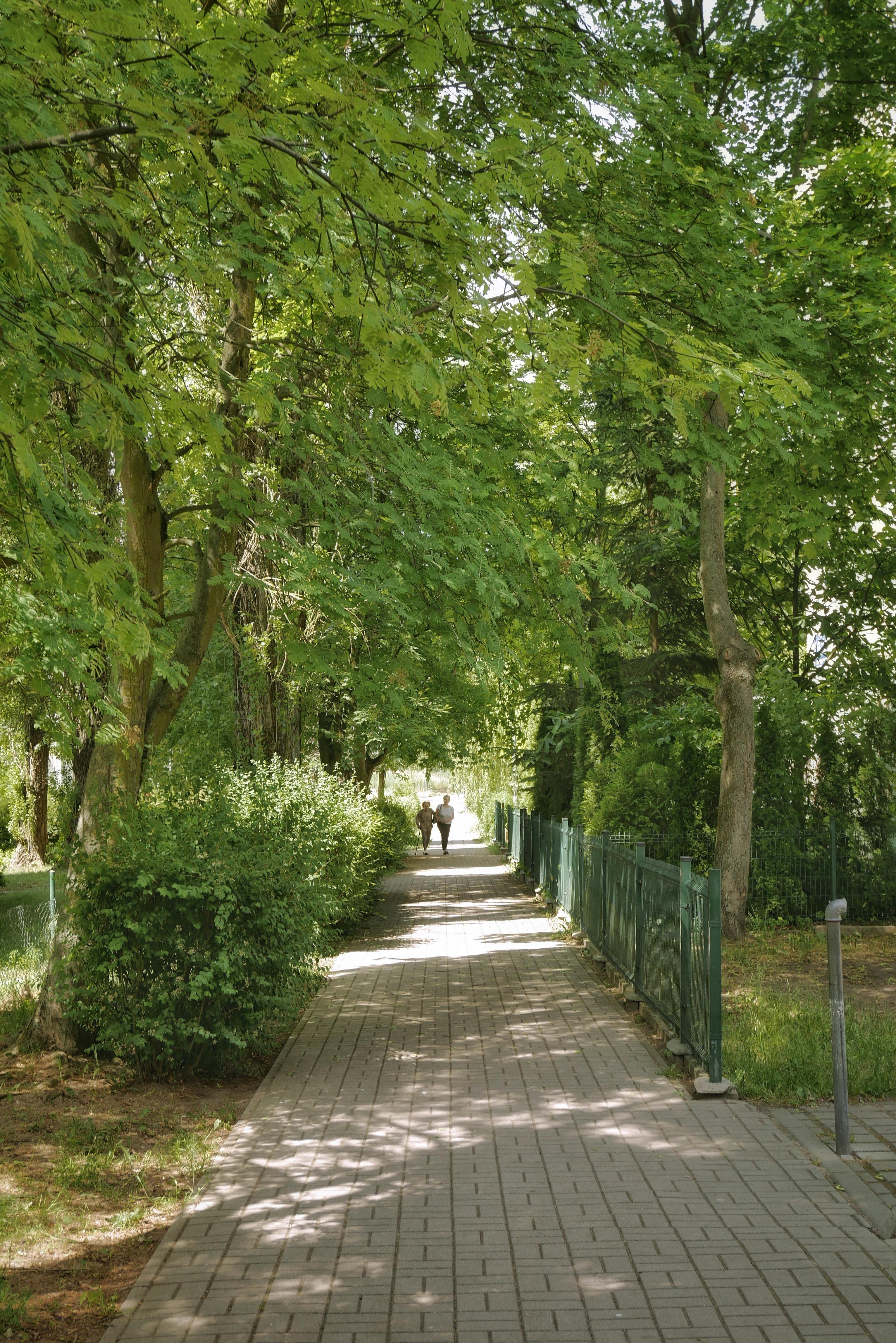 Walking Path in City Park · Free Stock Photo