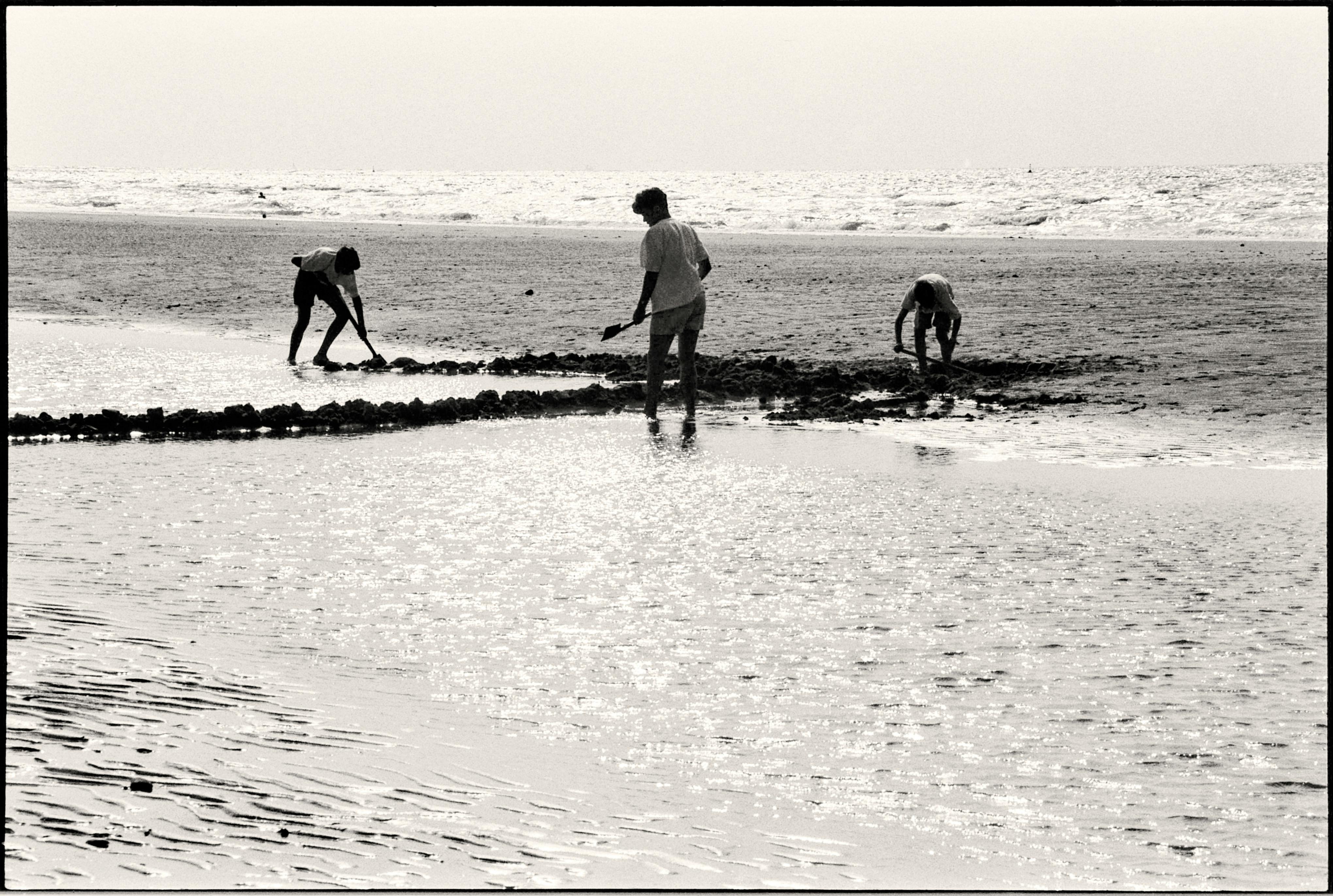 Boy Digging Photos, Download The BEST Free Boy Digging Stock Photos ...