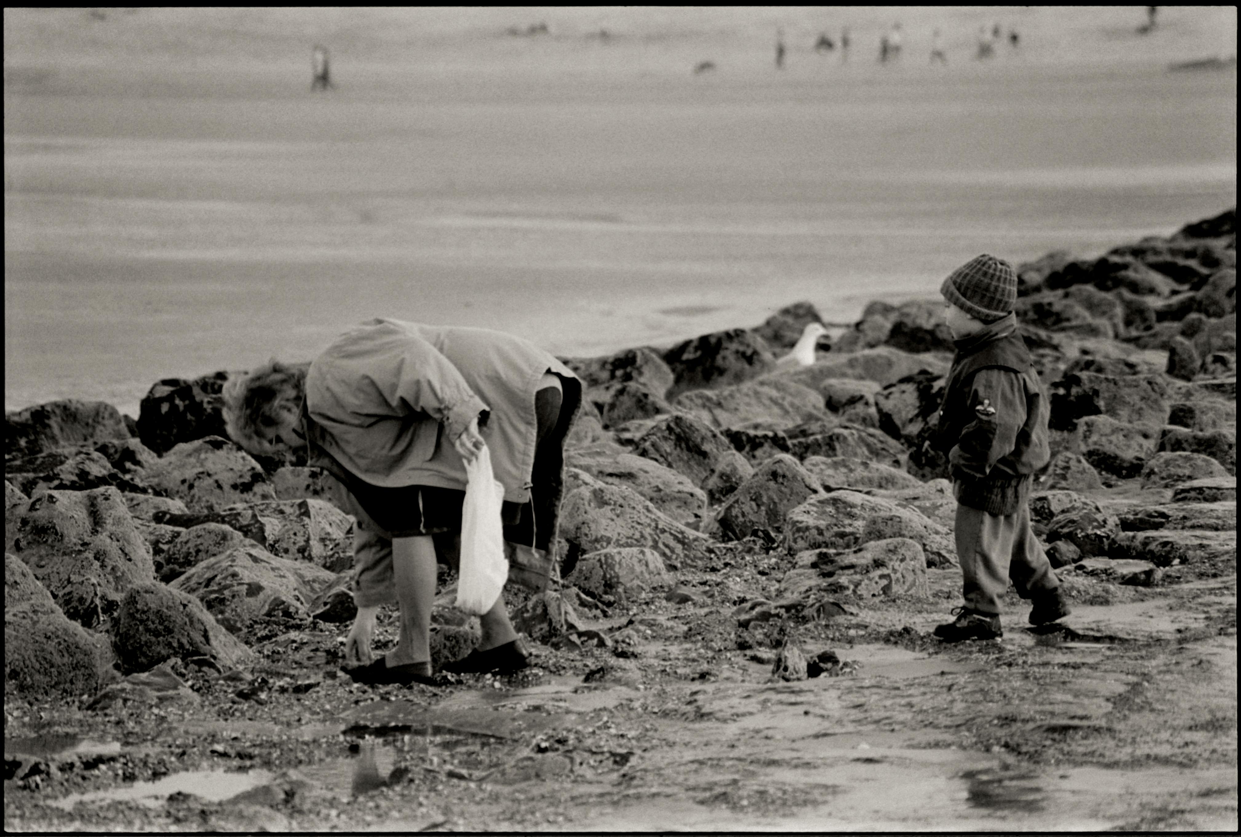 Woman with Young Child Gathering Shells on Beach · Free Stock Photo