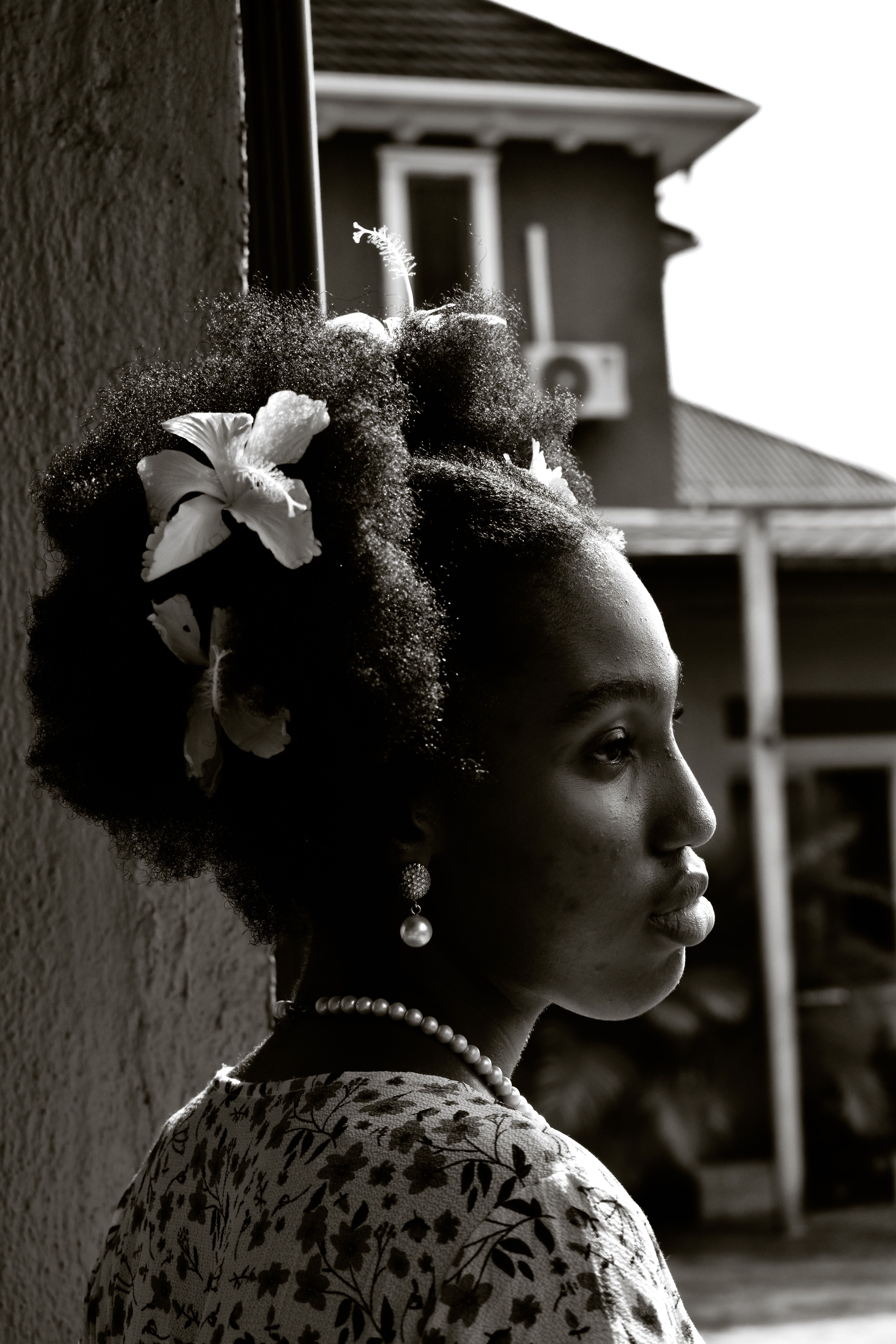 Free stock photo of adult, afro hair, afro hairstyle, art, black and ...