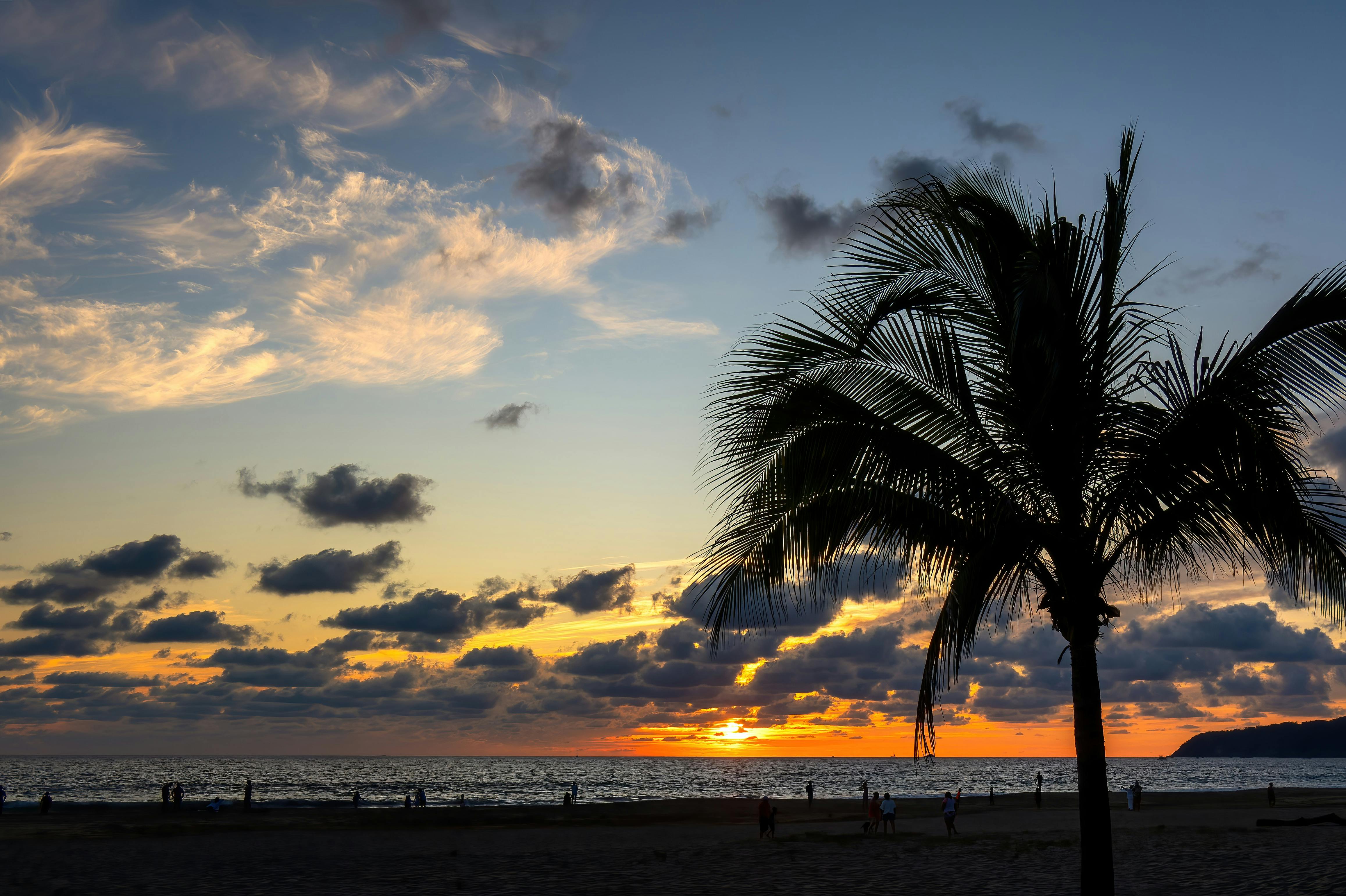 A Beach Under the Blue Sky · Free Stock Photo