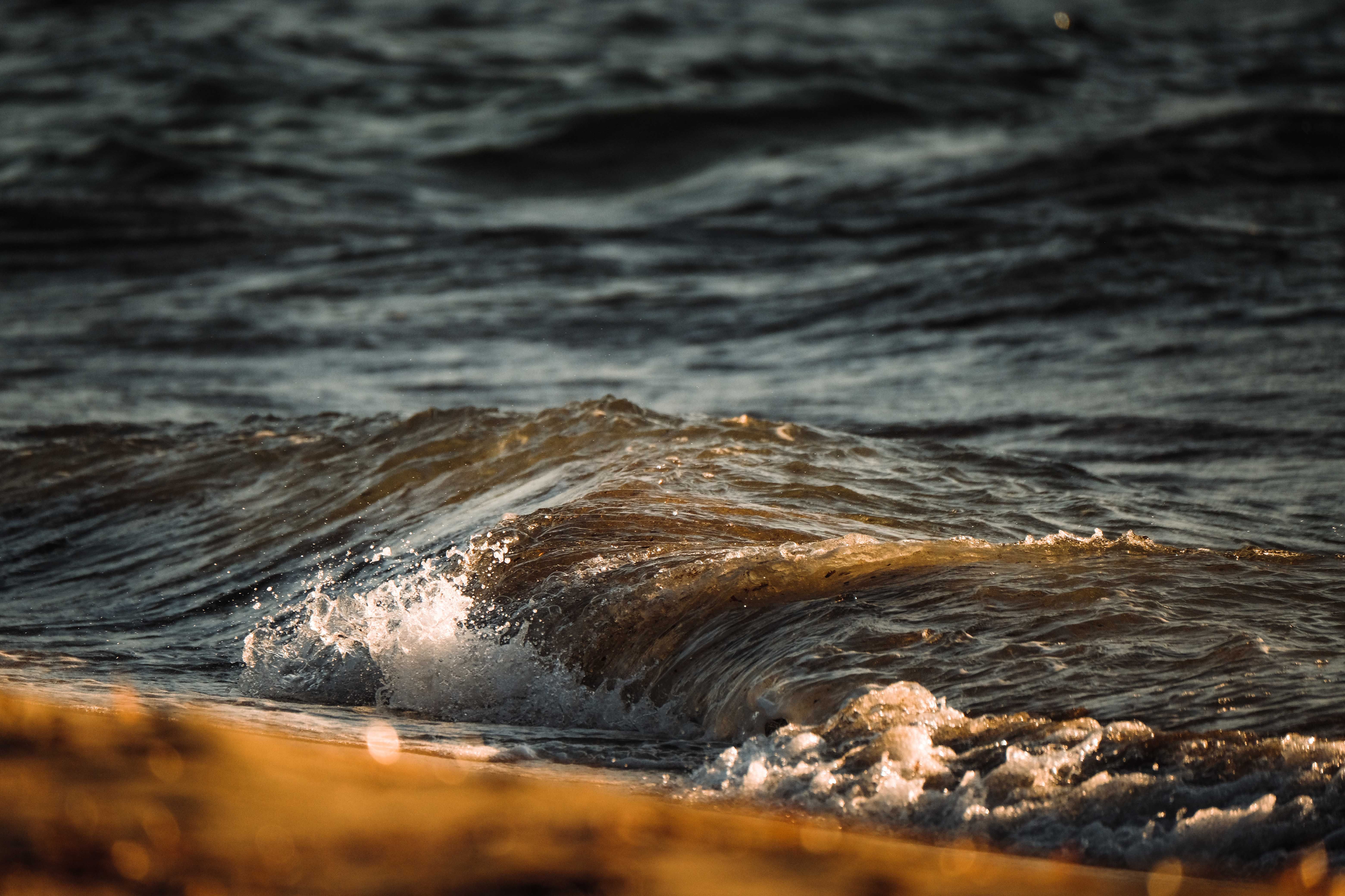 Close-up of an Ocean Wave · Free Stock Photo