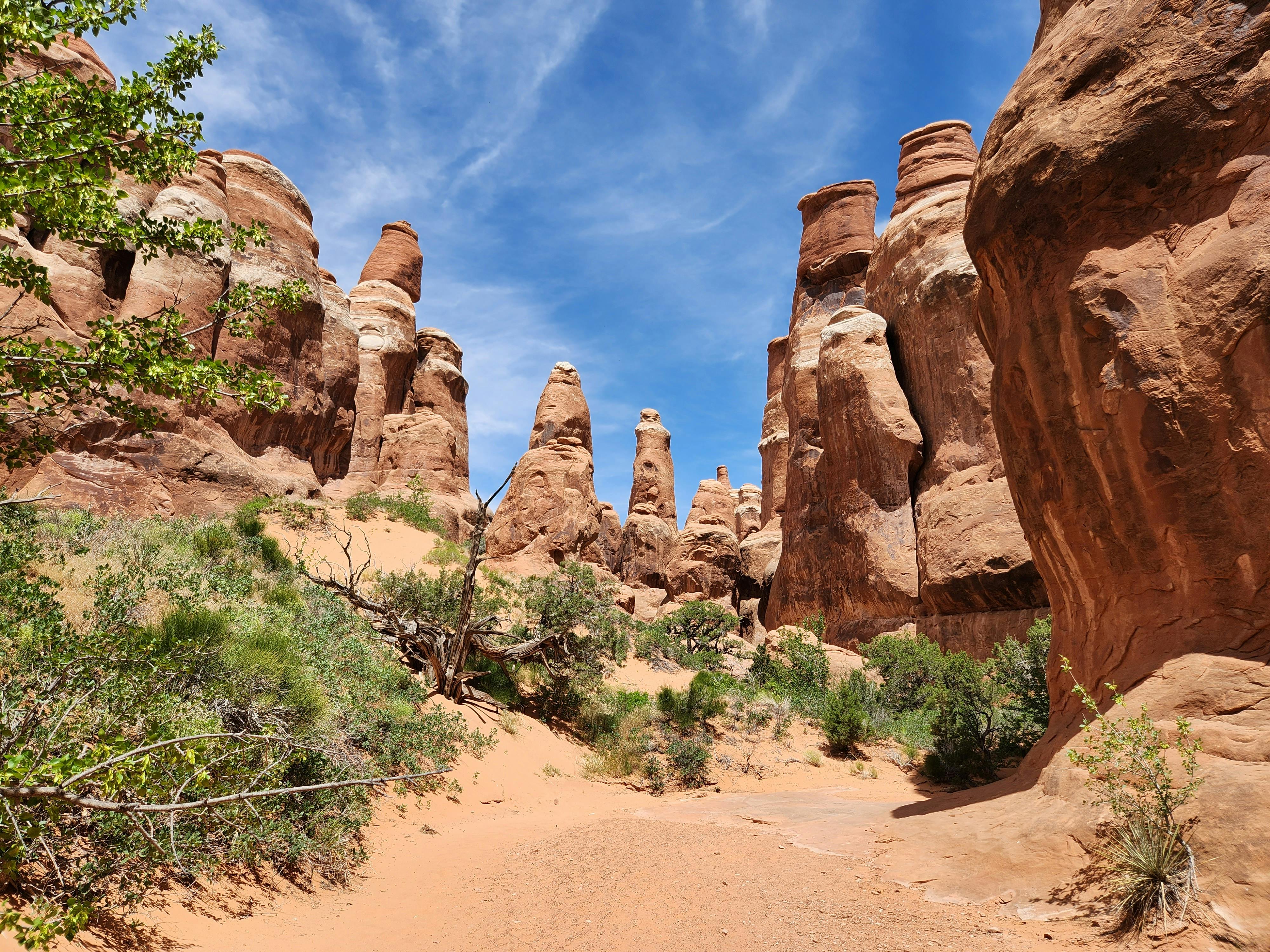 Geological Structures in Arches National Park · Free Stock Photo