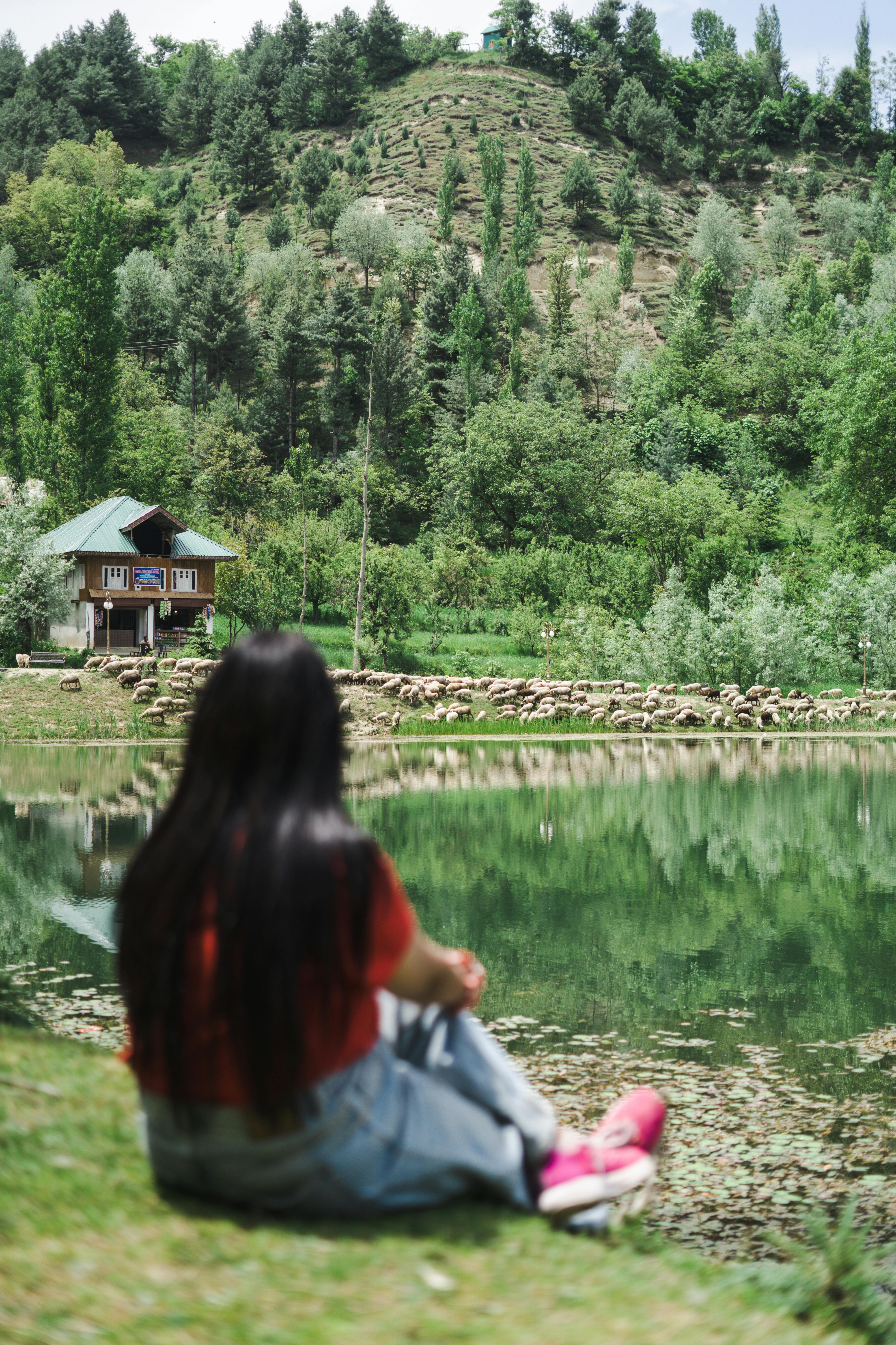 Foto de stock gratuita sobre agua, al aire libre, ambiente sereno ...