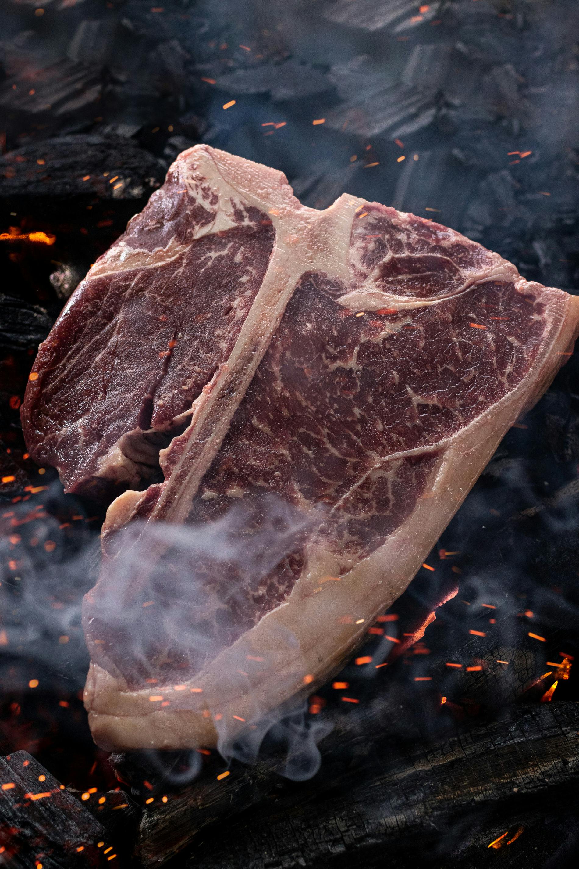 Raw Meat Rotten Photos, Download The BEST Free Raw Meat Rotten Stock ...