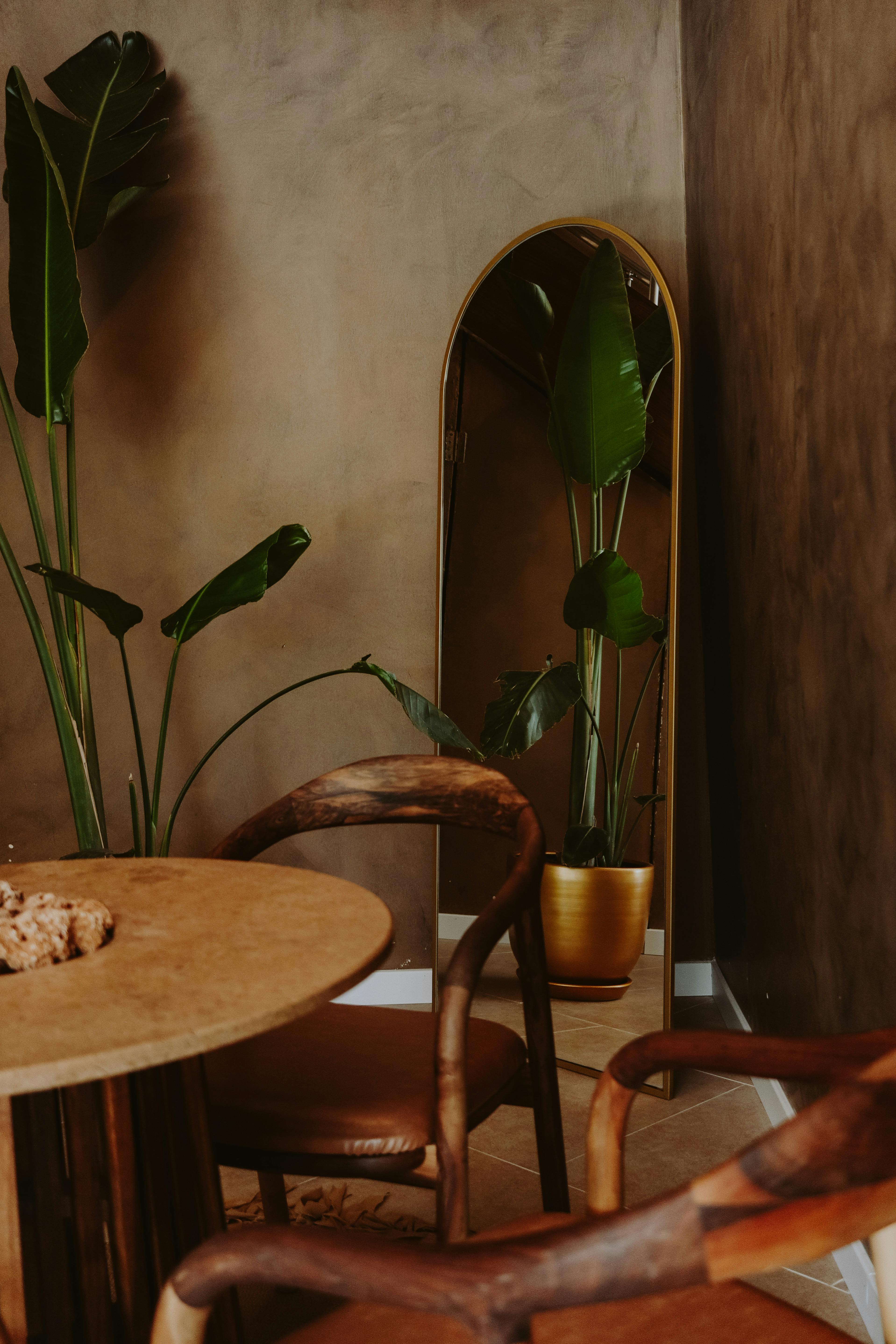 Mirror House Interior Photos, Download The BEST Free Mirror House ...