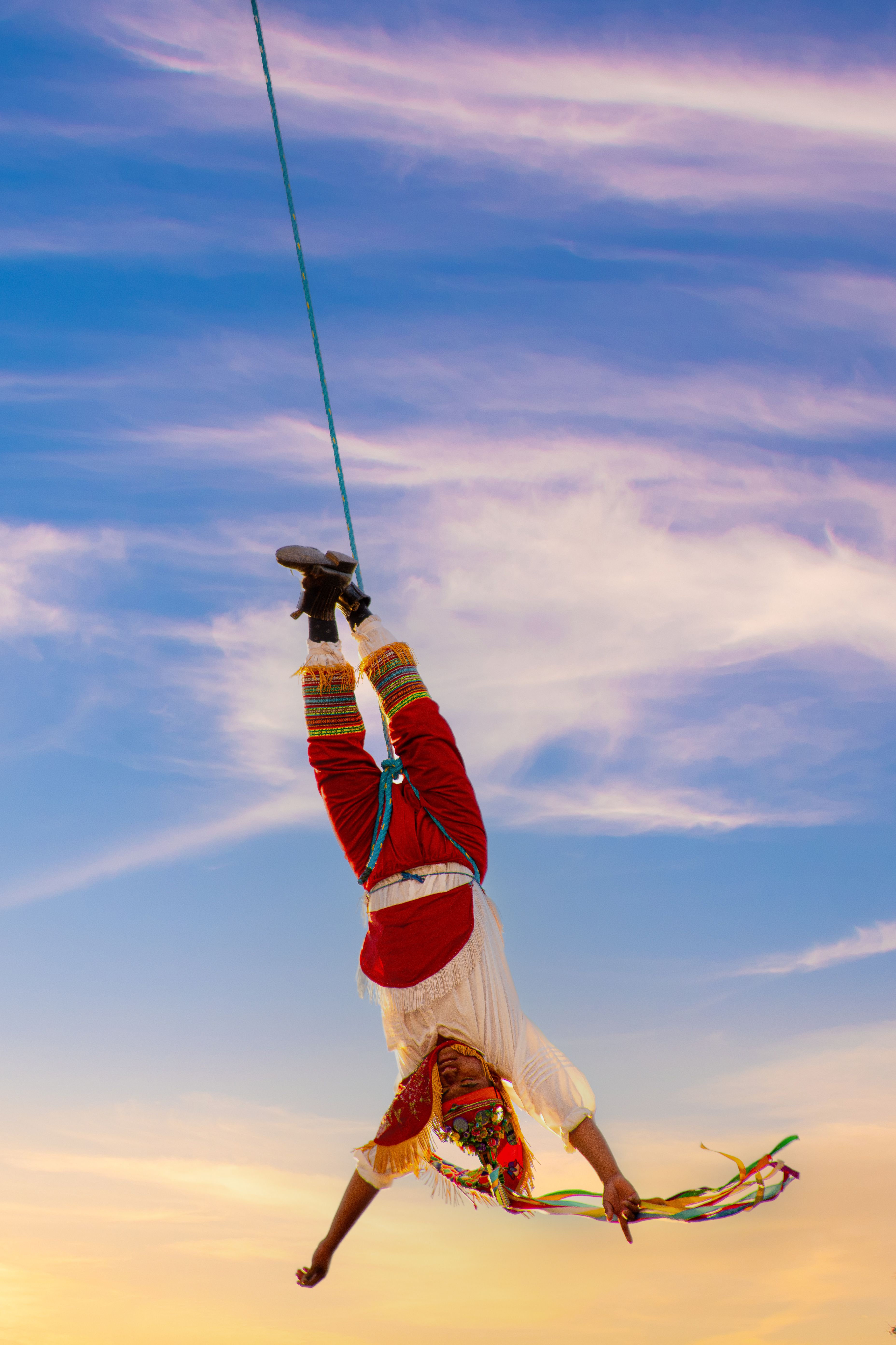 Gos Volador Photos, Download The BEST Free Gos Volador Stock Photos ...