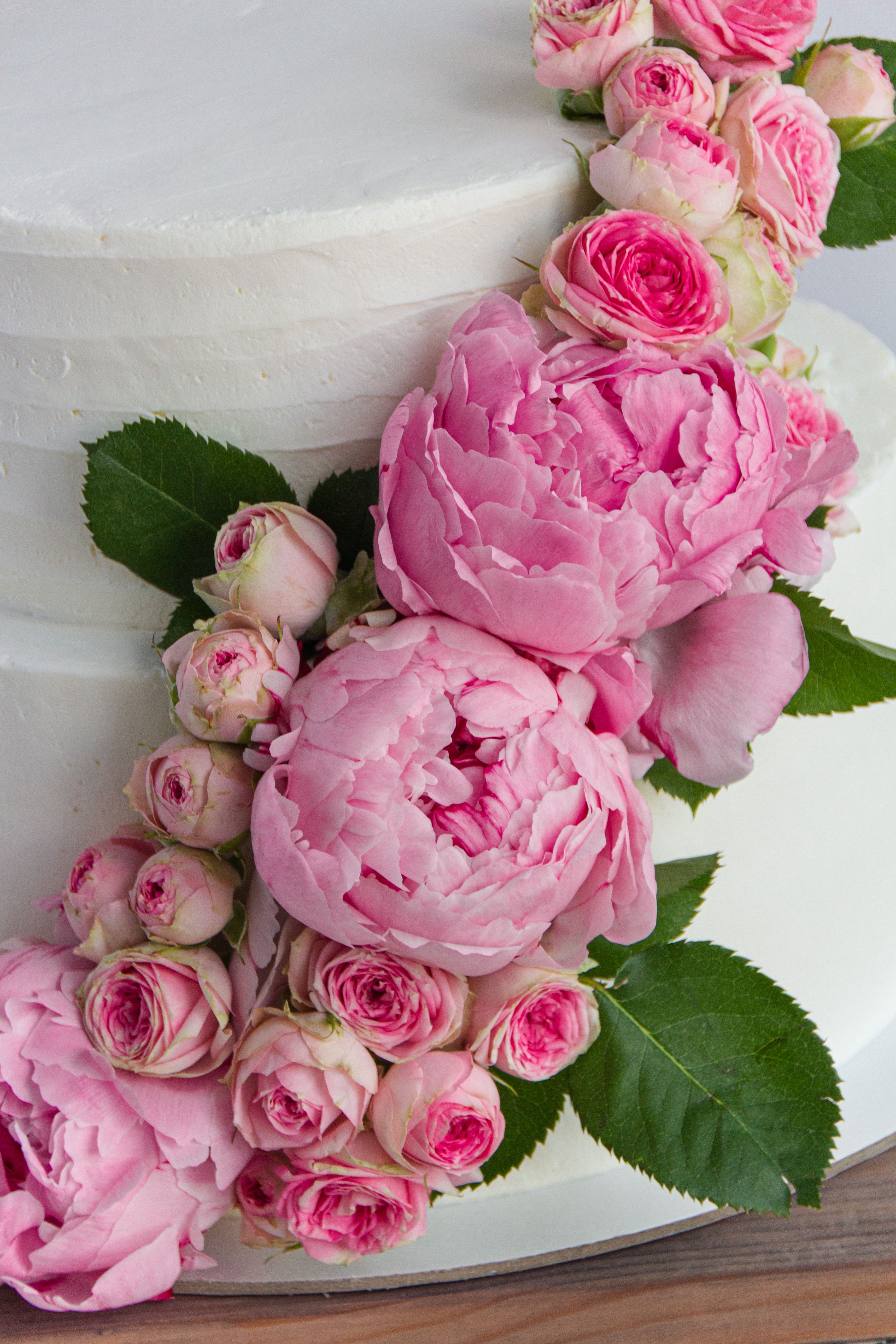 Pink Cake Photos, Download The BEST Free Pink Cake Stock Photos & HD Images