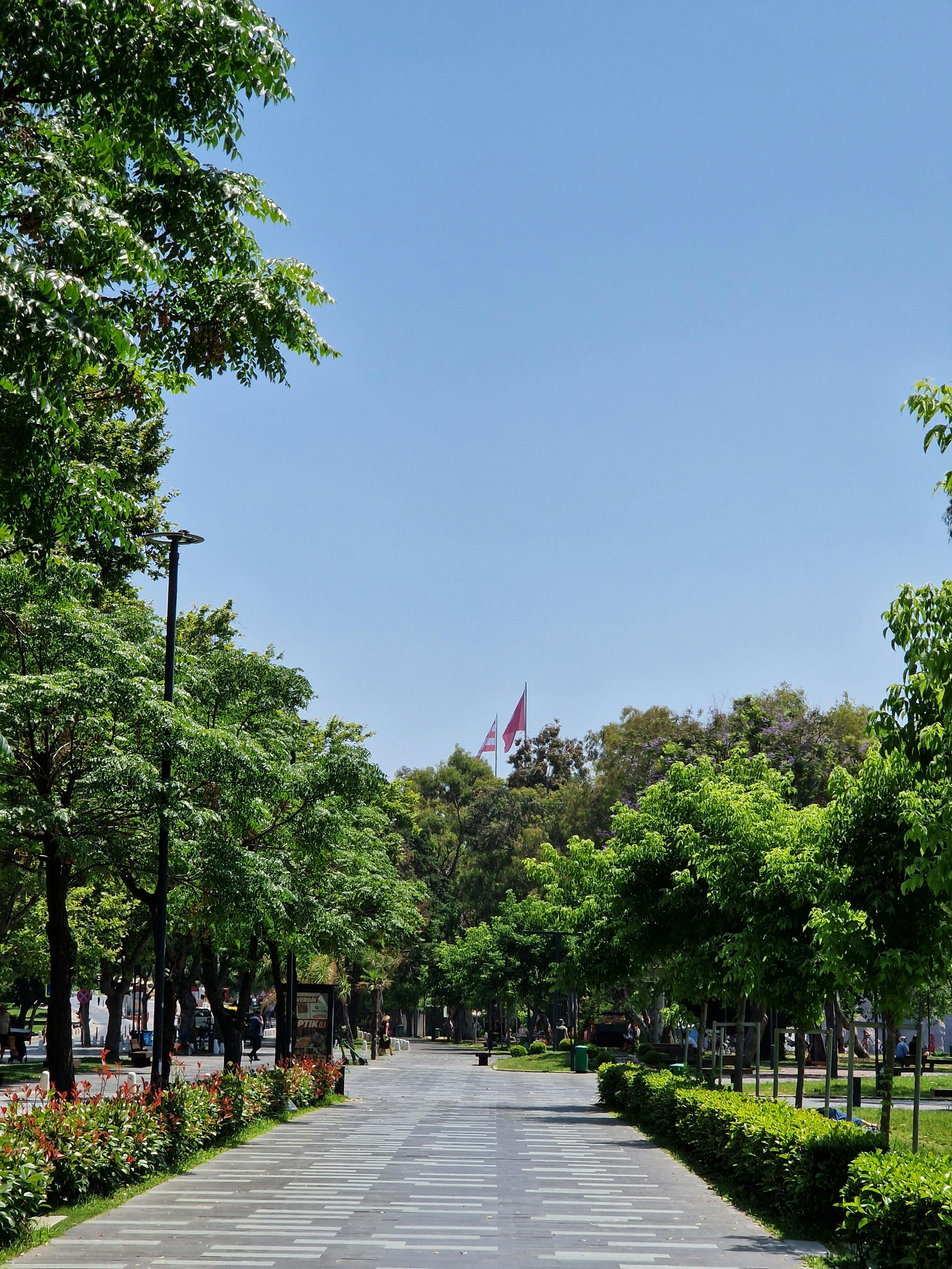 Pavement Path in Urban Park · Free Stock Photo