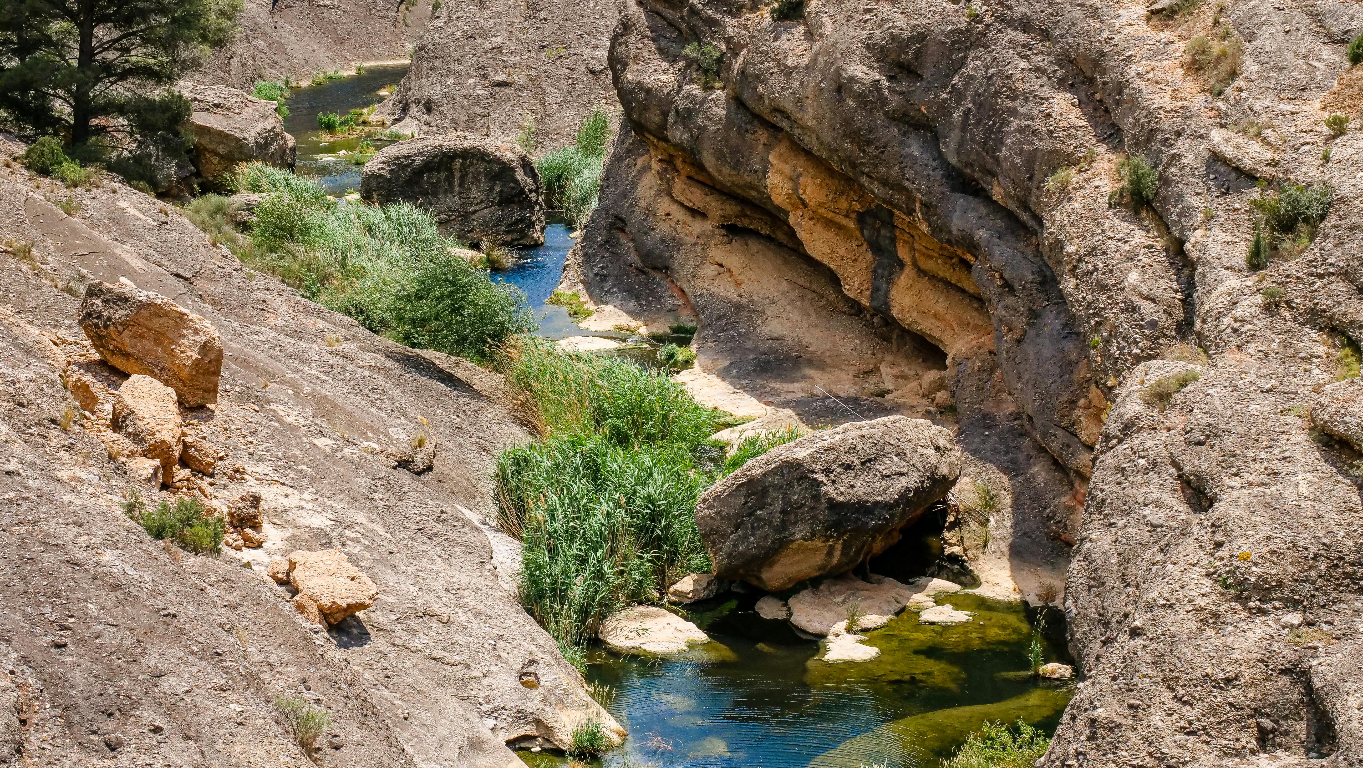 River in Canyon · Free Stock Photo