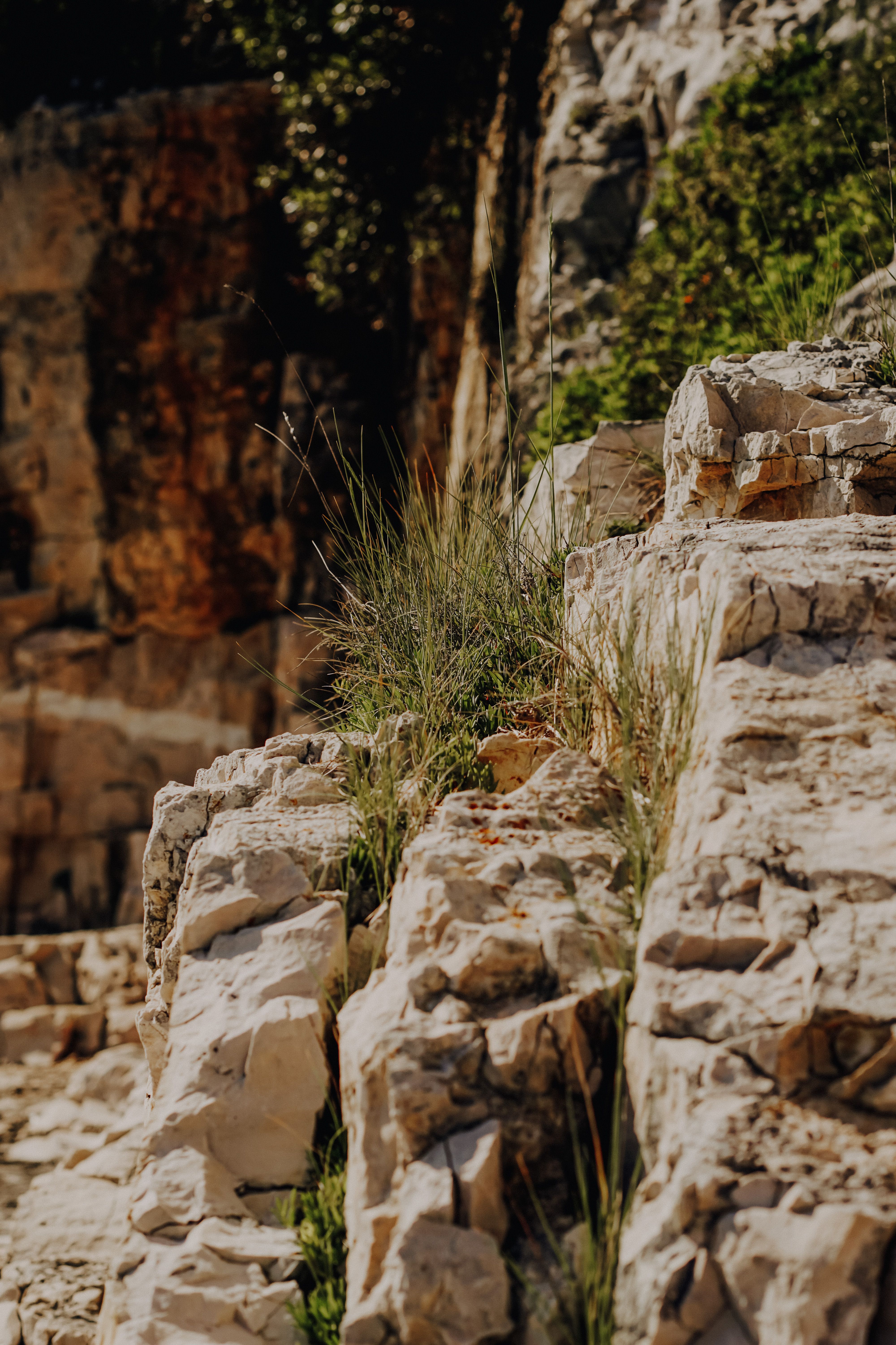 Close-up of a Rock Formation with Grass Growing in the Crevices · Free ...
