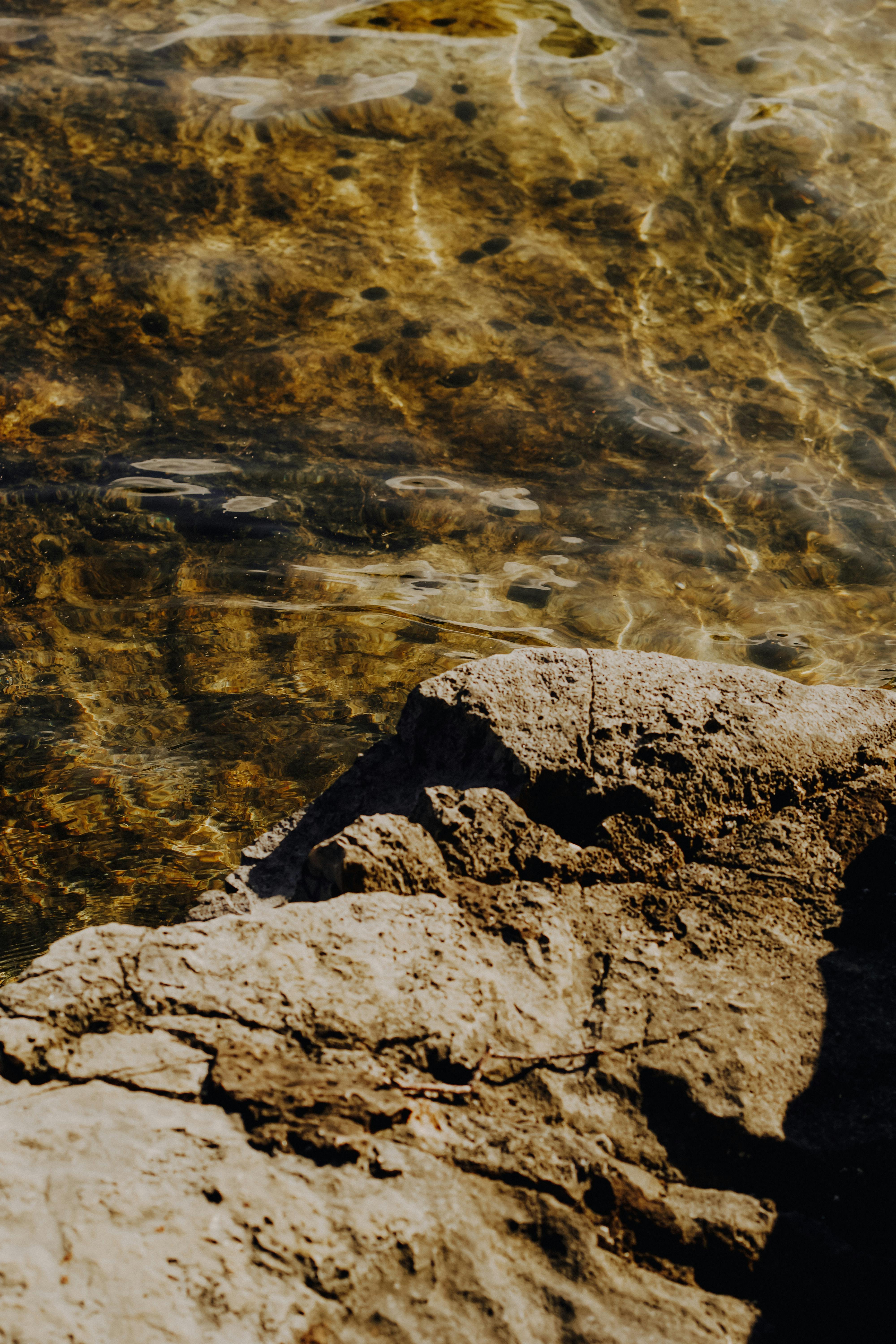 Ripple Reflections Photos, Download The BEST Free Ripple Reflections ...