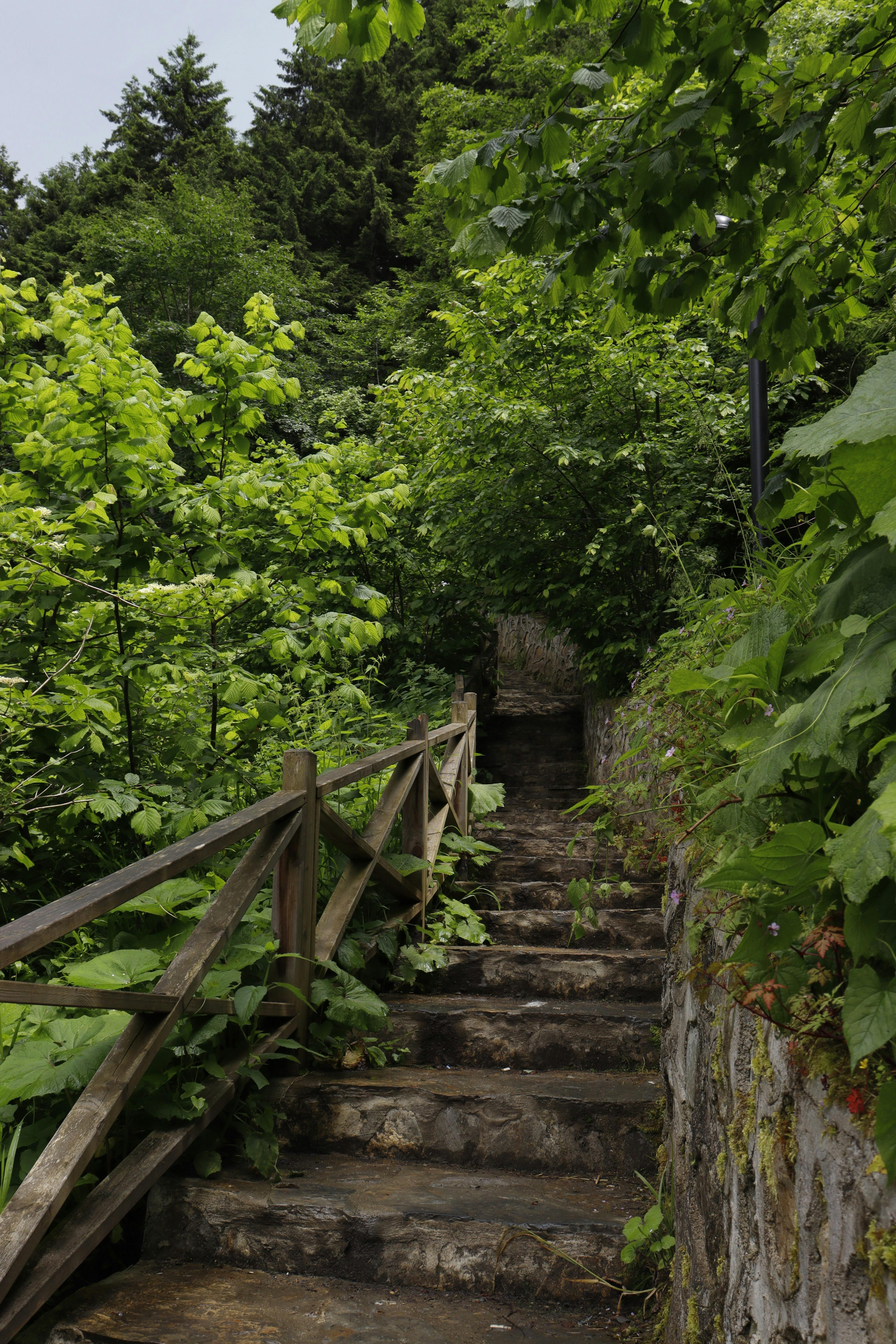Old Steps in Countryside · Free Stock Photo