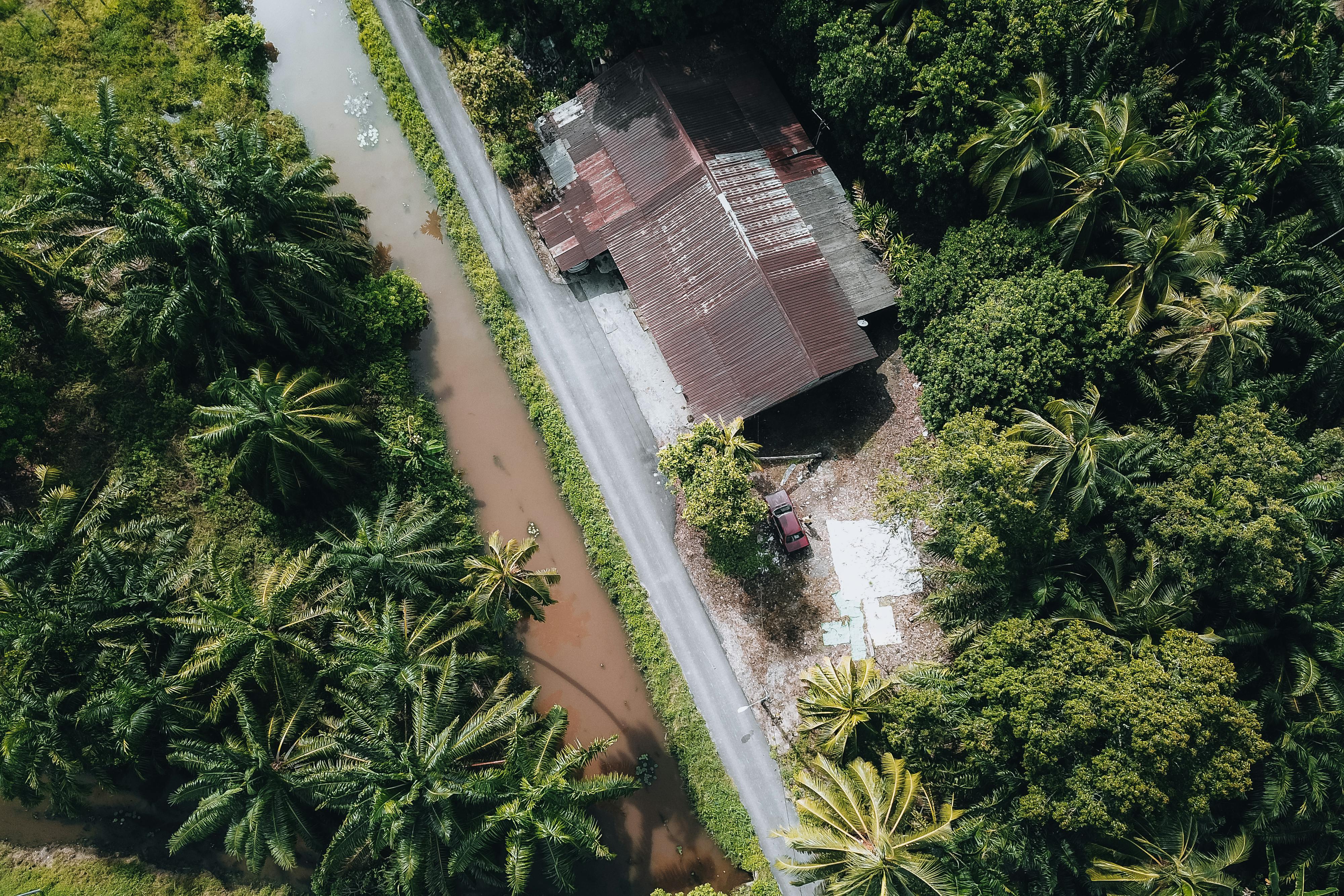 Trees around House near Road and River · Free Stock Photo