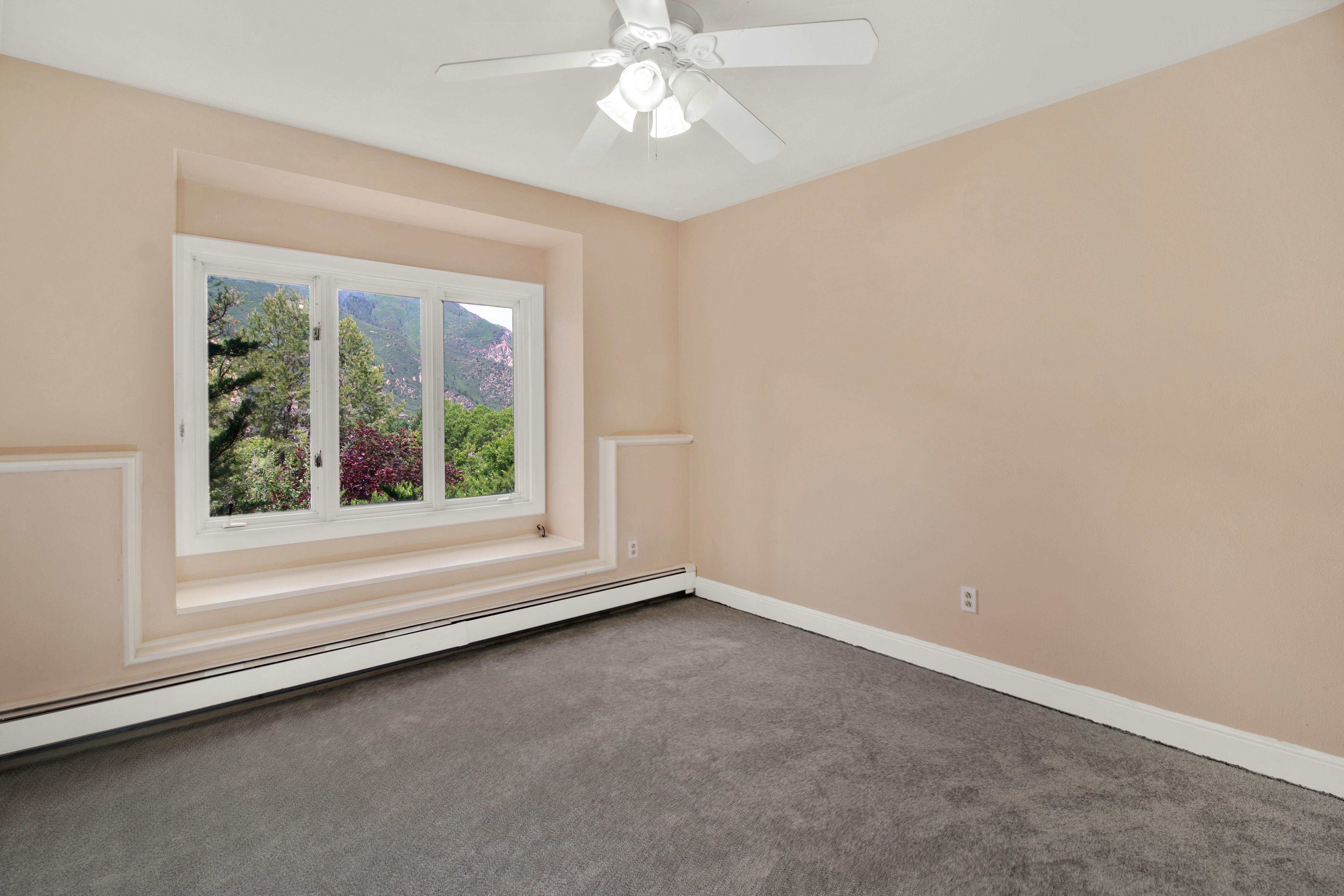 Contemptibly Photos, Download The BEST Free Contemptibly Stock Photos ...