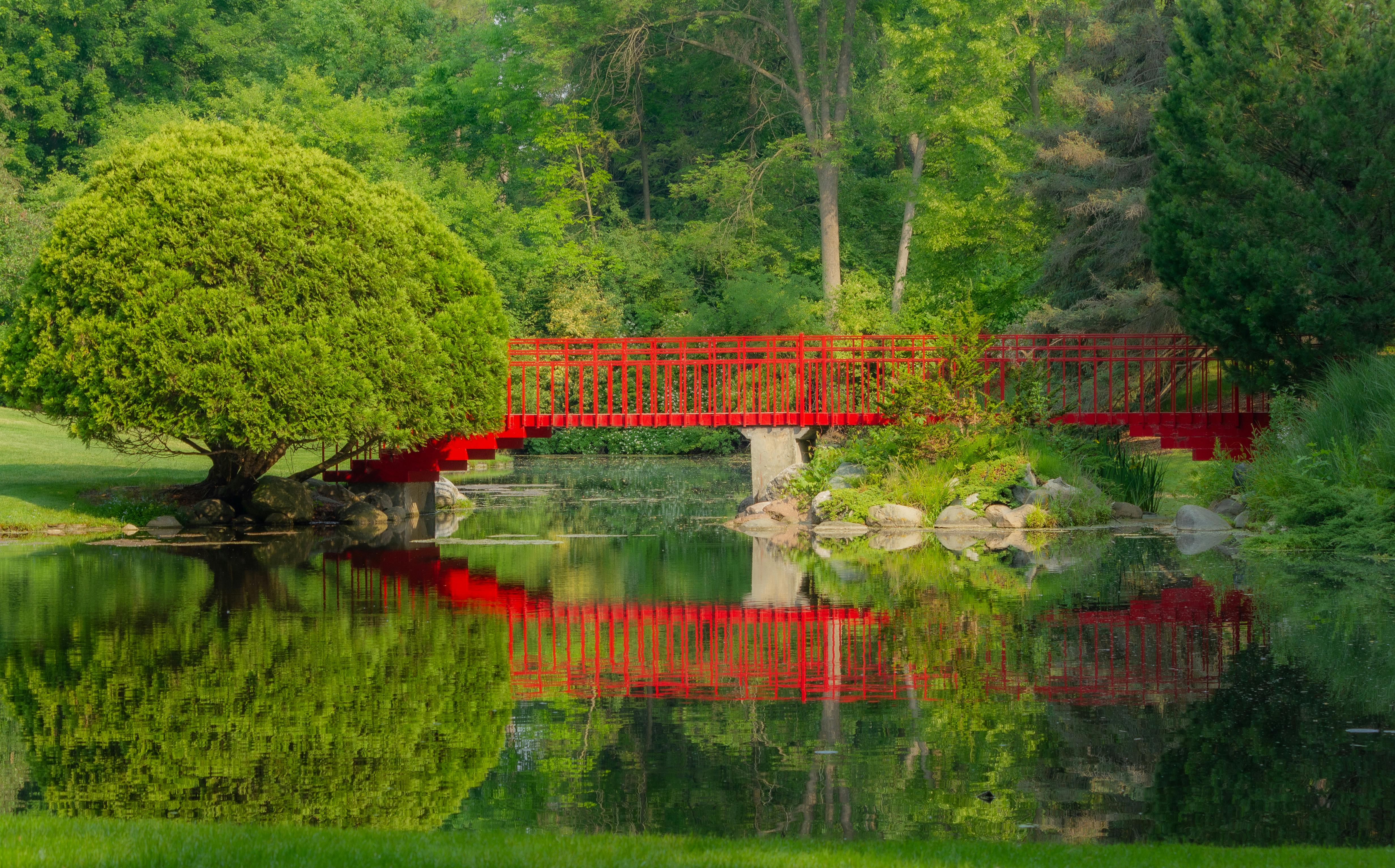 A Red Bridge over the Pond at Dow Gardens, Midland, Michigan, United ...