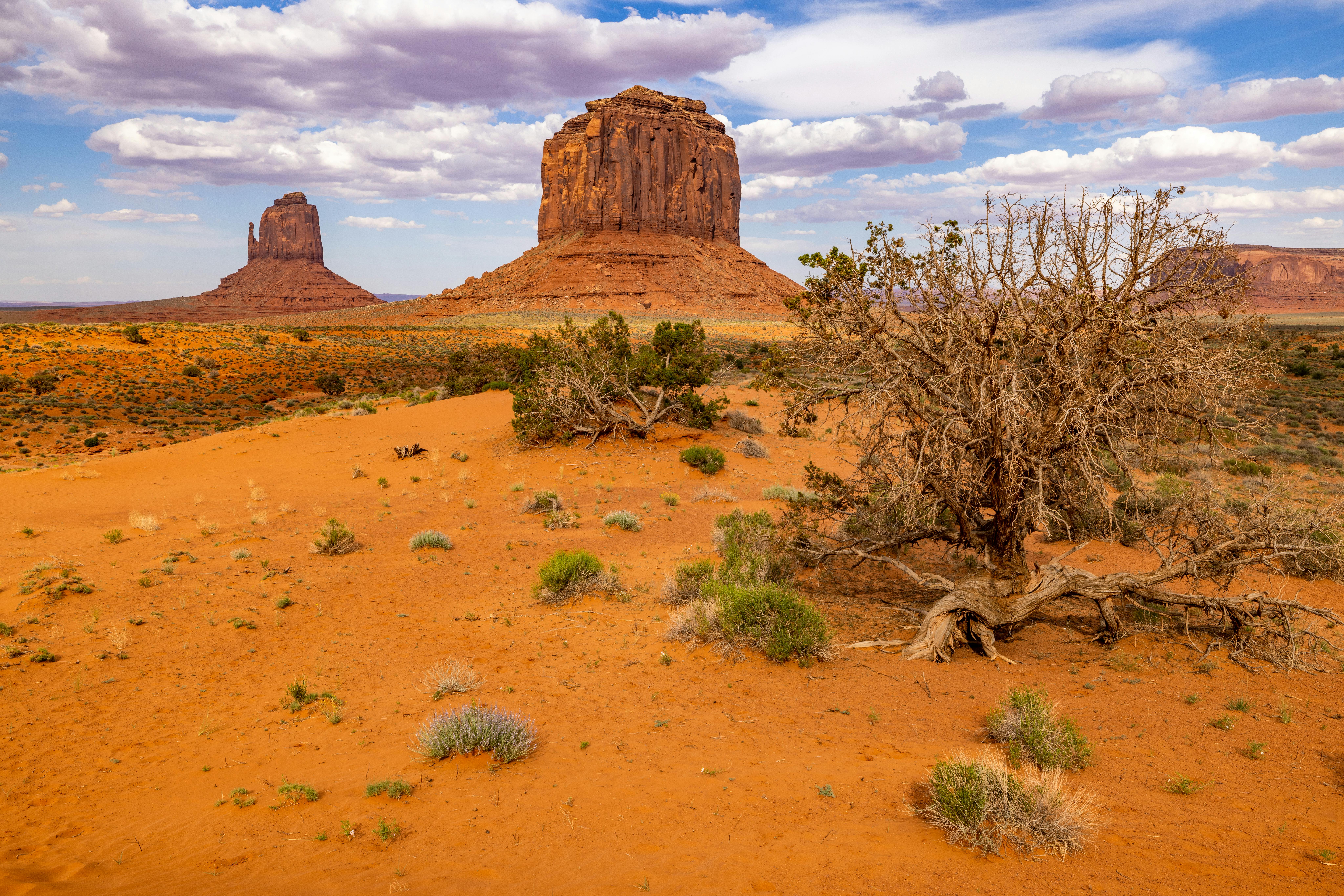 Prairie and Rock Formations behind · Free Stock Photo