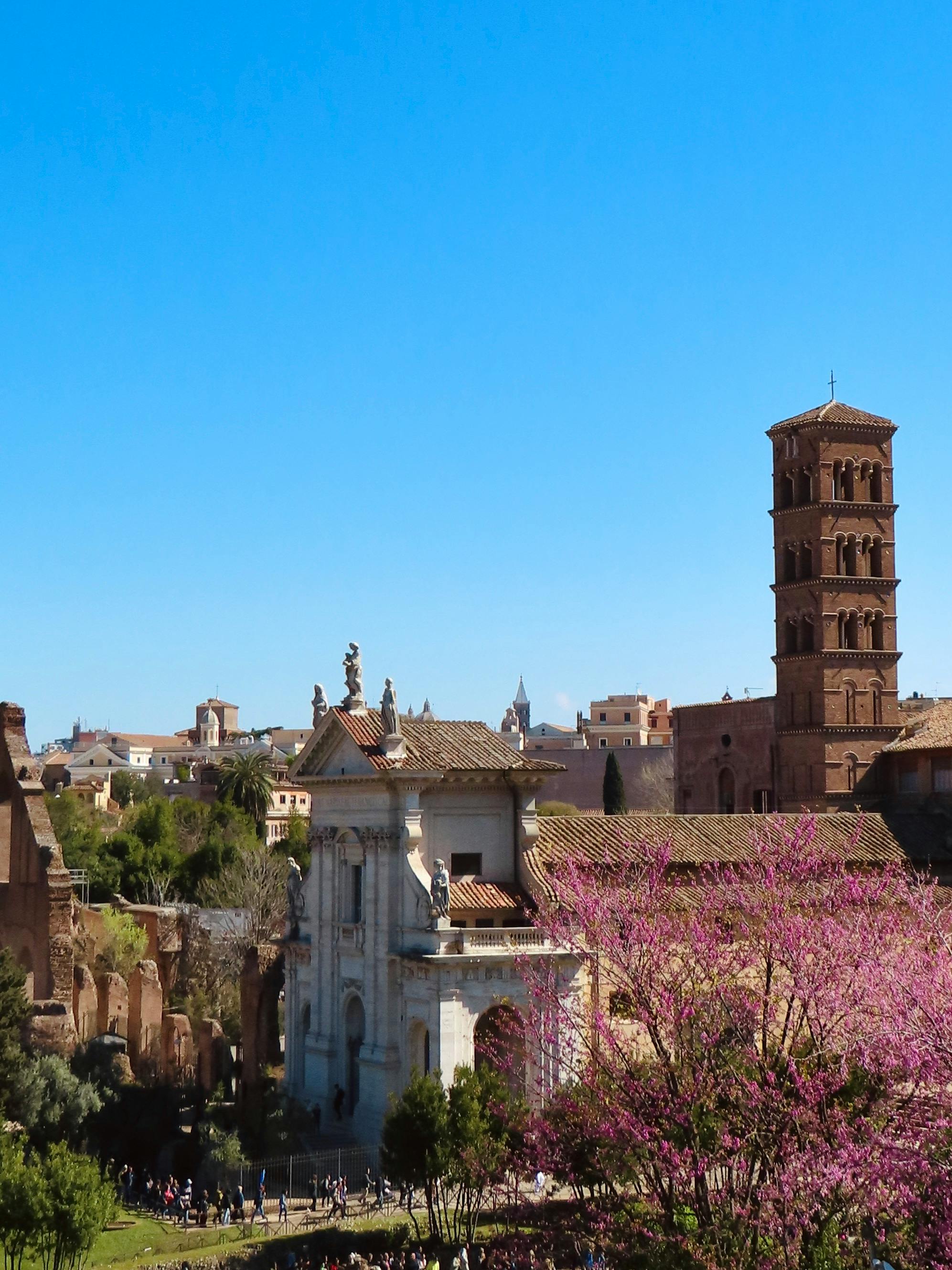 In Rome Background Photos, Download The BEST Free In Rome Background ...