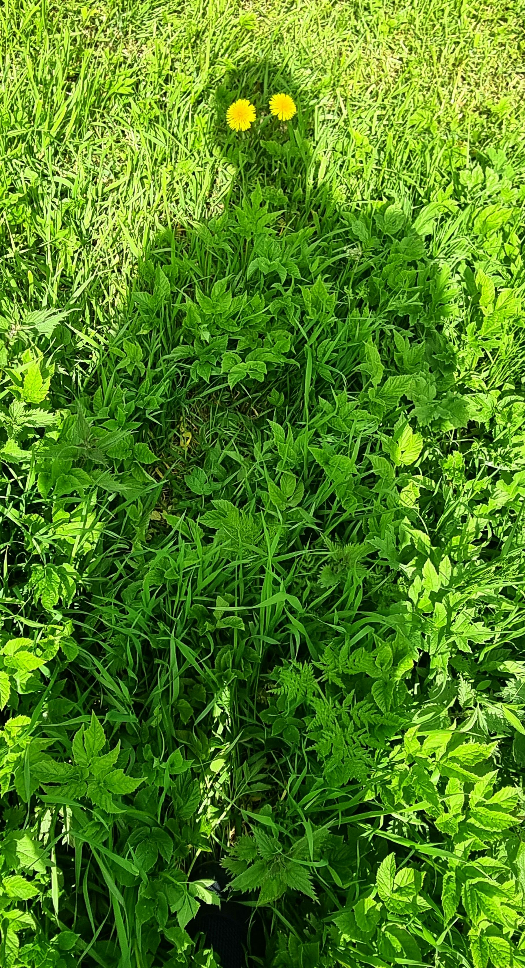 Lars Bugge Aarset - Fotografía