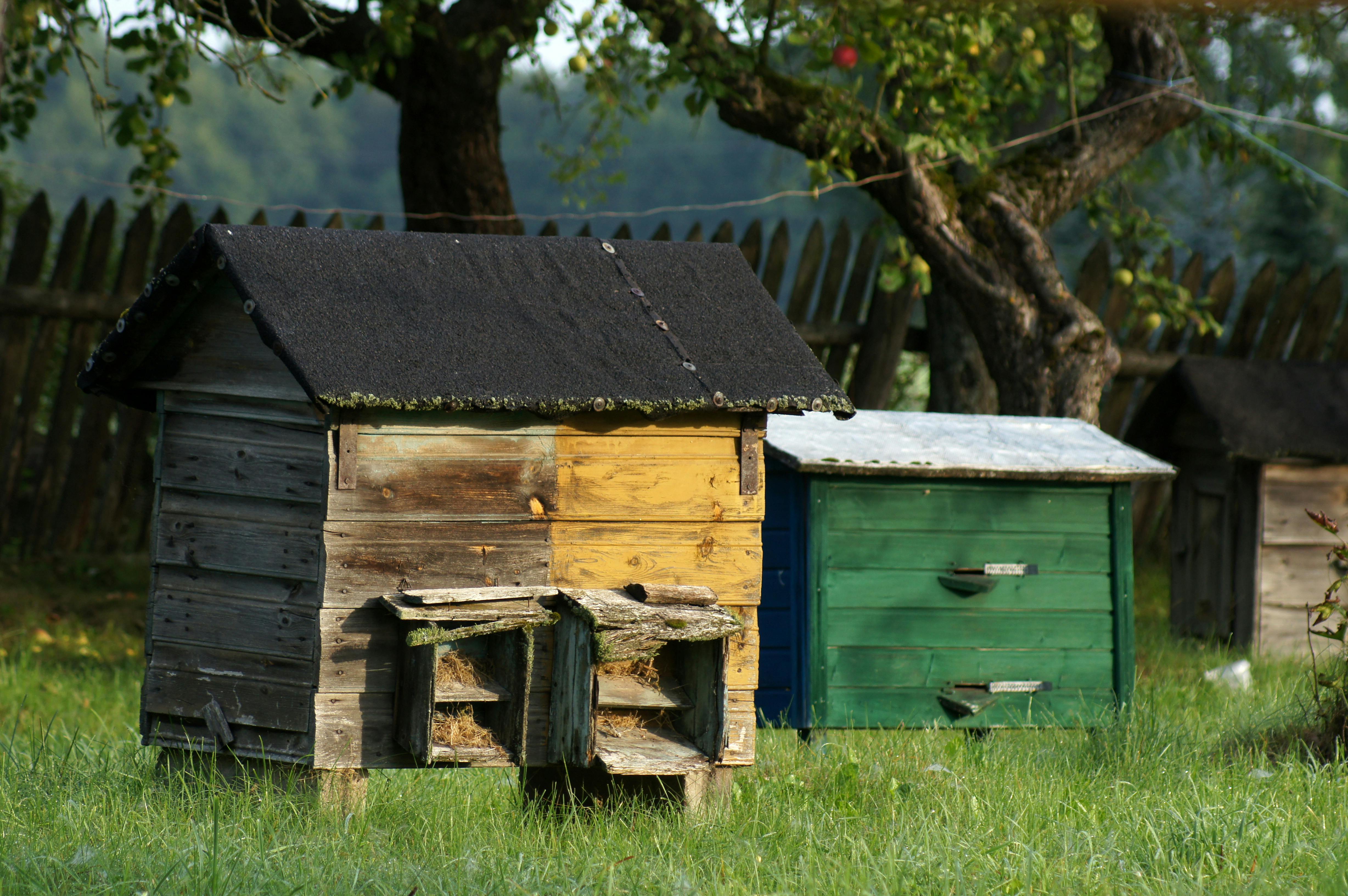 Beehives Photos, Download The BEST Free Beehives Stock Photos & HD Images