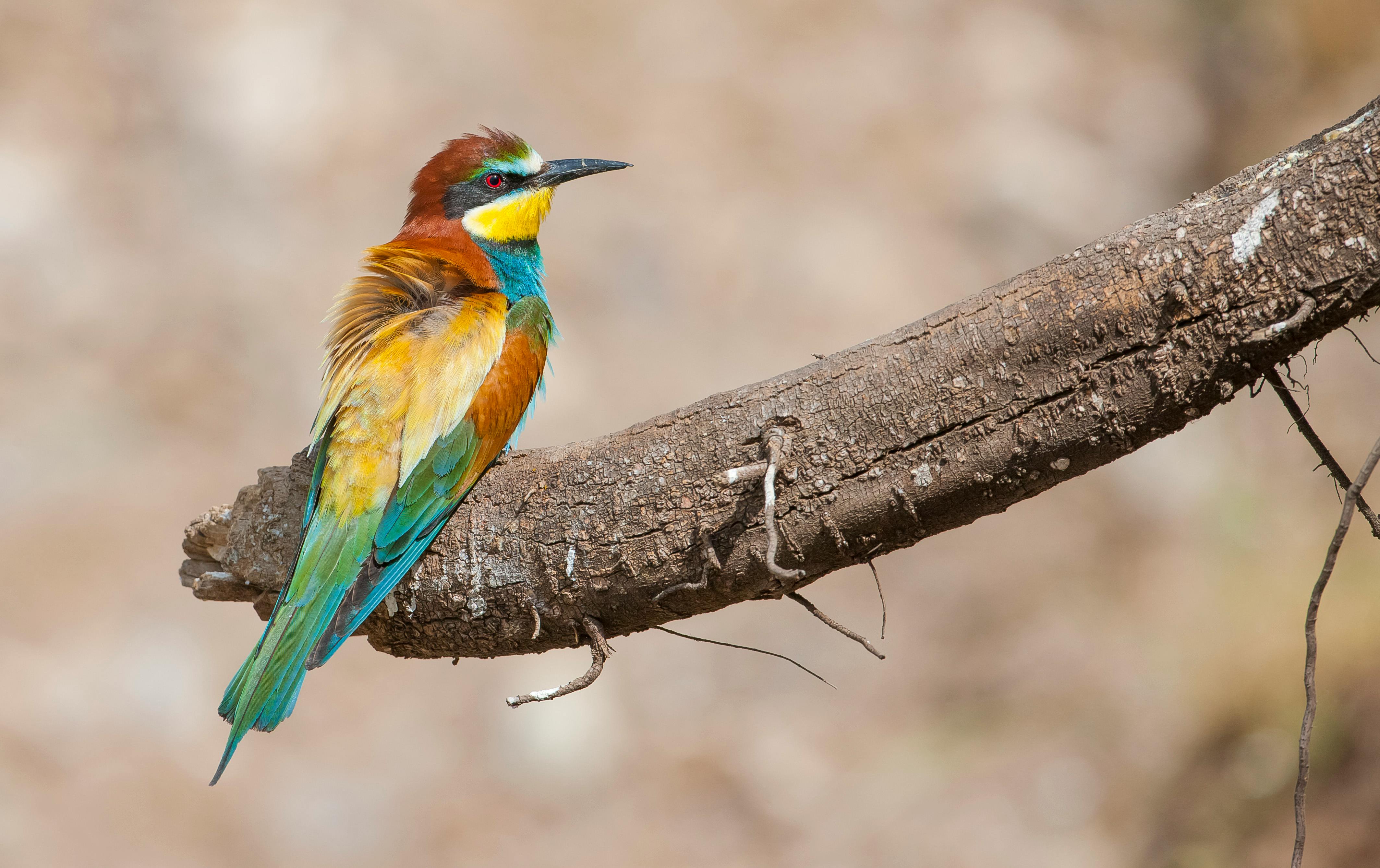 Quick Photos, Download The BEST Free Quick Stock Photos & HD Images