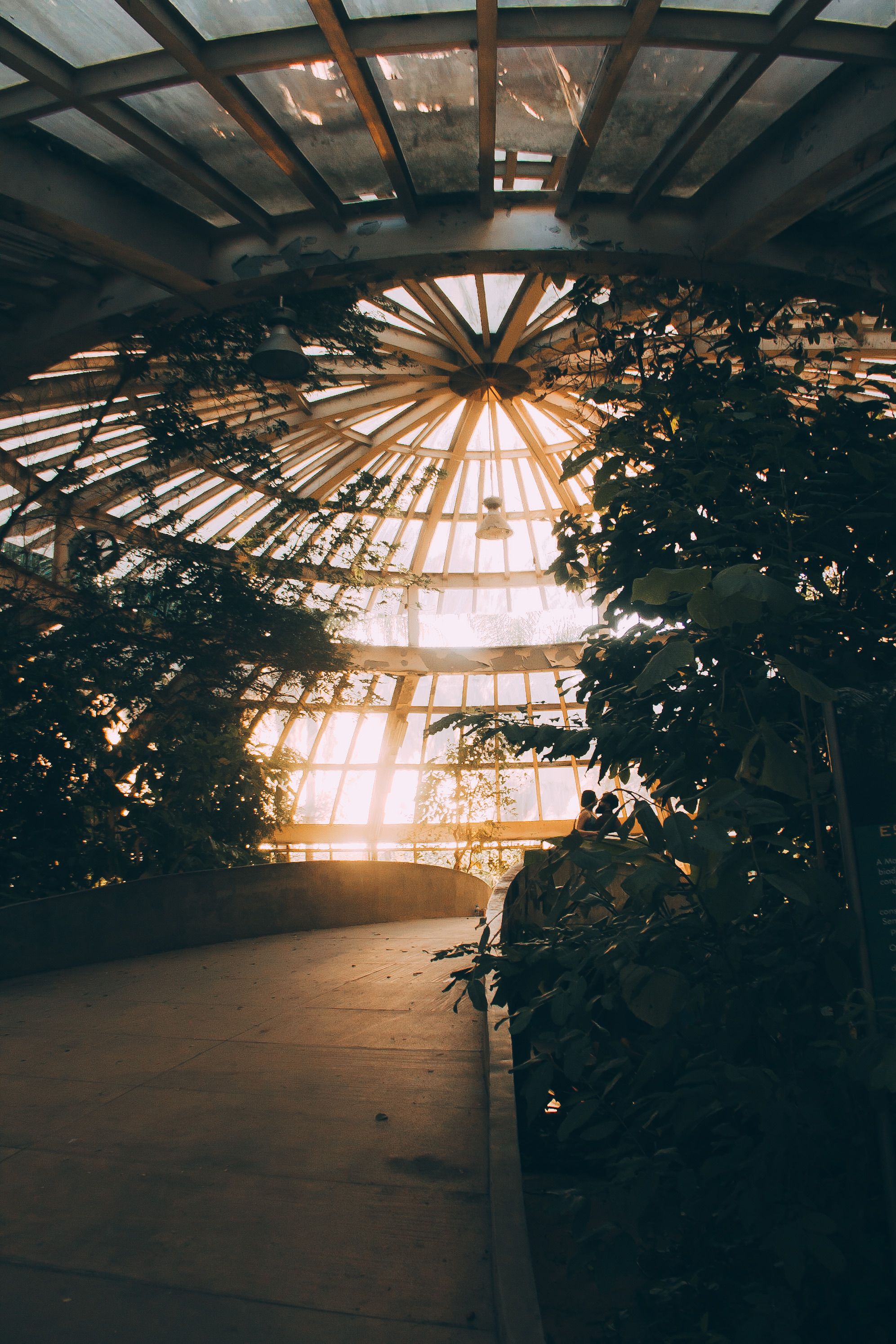 Geoje Jungle Dome Photos, Download The BEST Free Geoje Jungle Dome ...