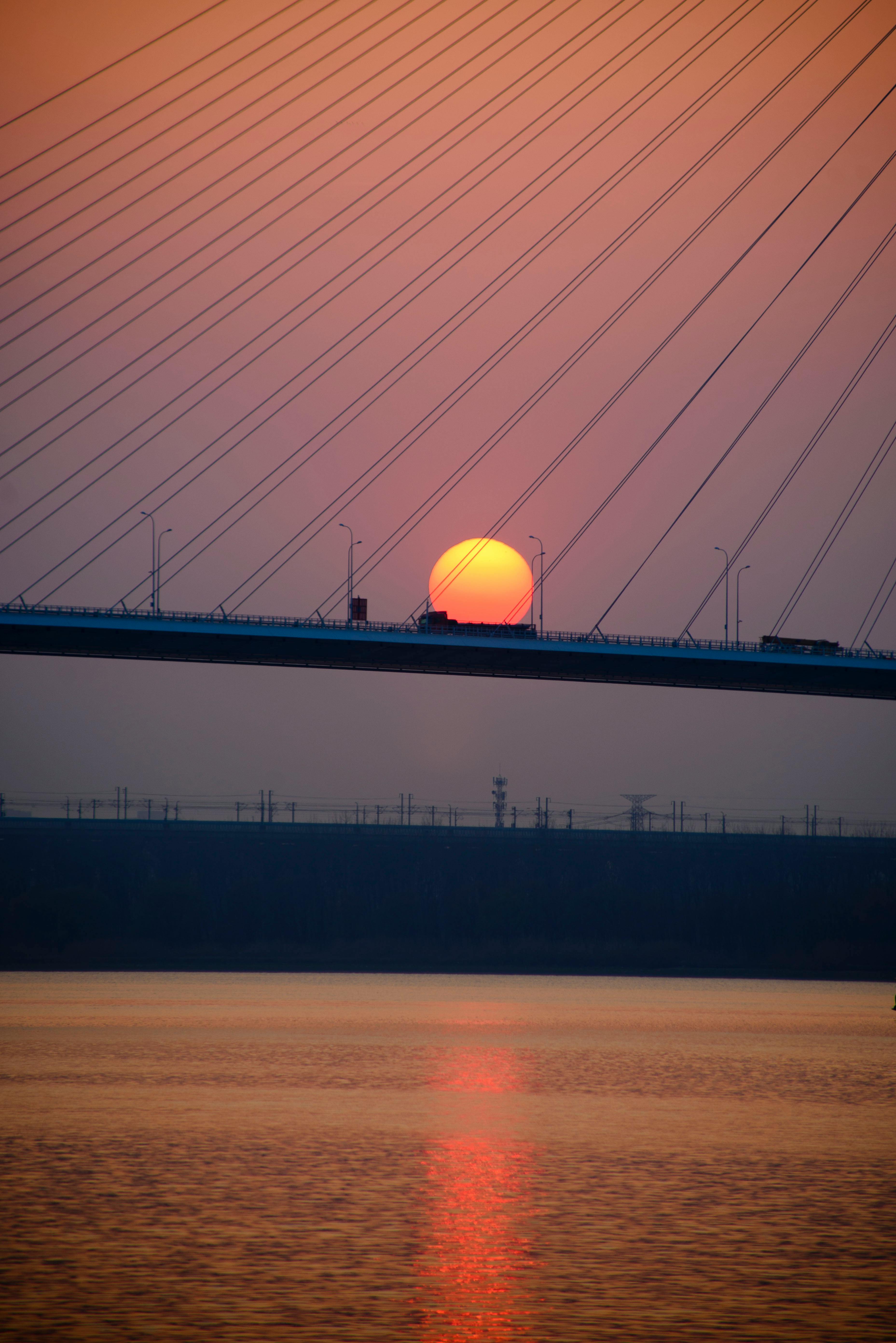 Sun Fang Photos, Download The BEST Free Sun Fang Stock Photos & HD Images