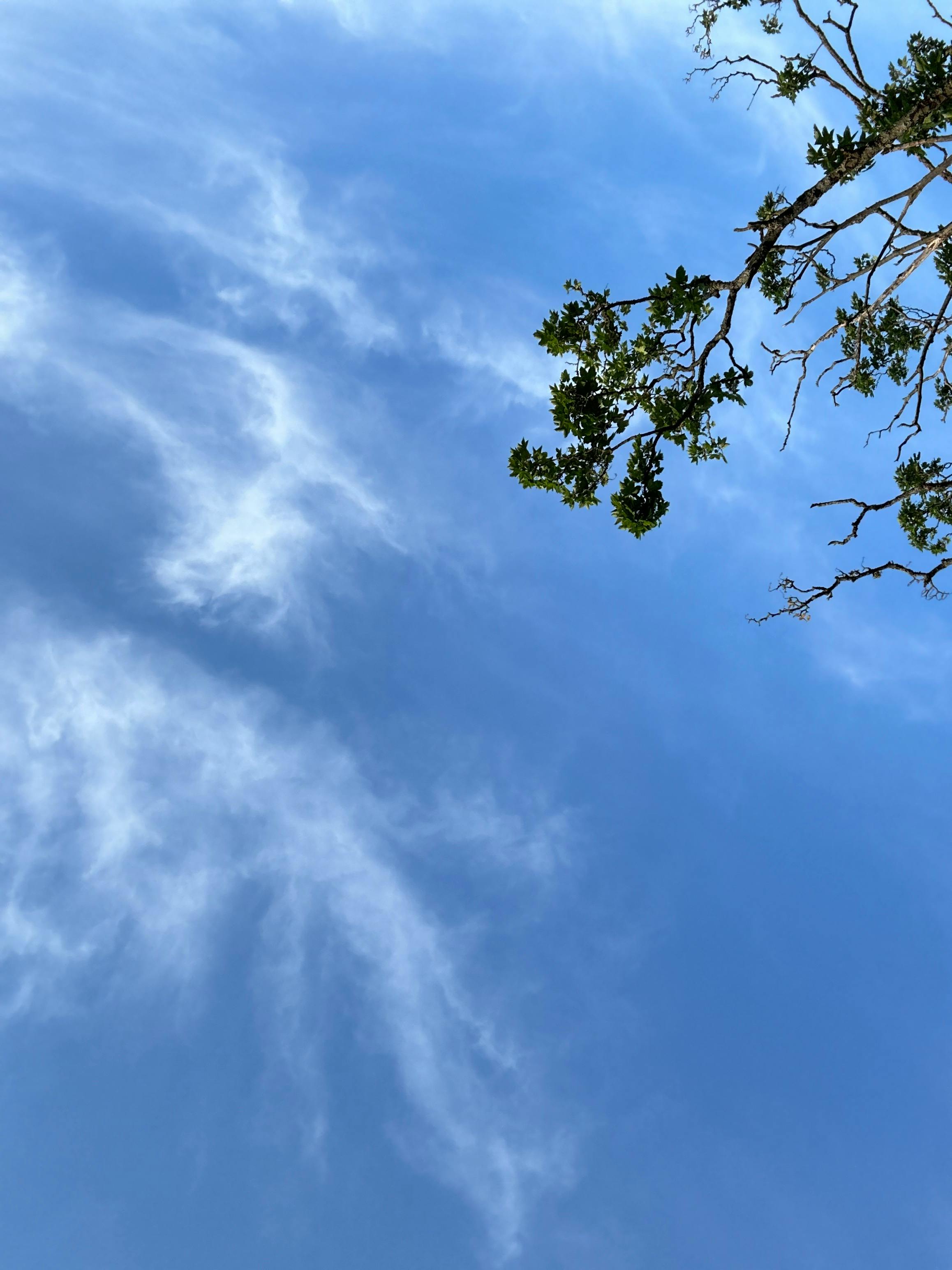 Hamza Virk - Photography