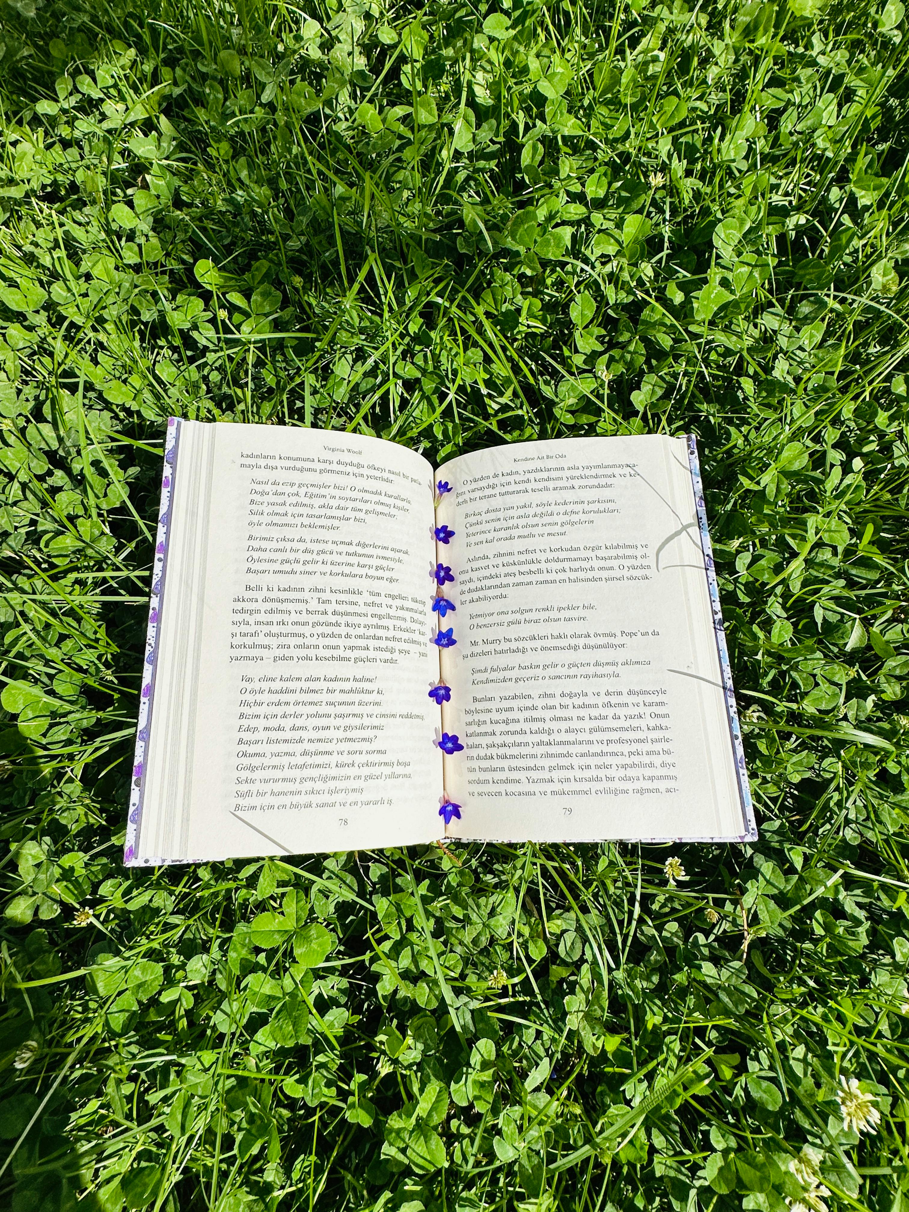 Open Book Lying Down on Grass · Free Stock Photo