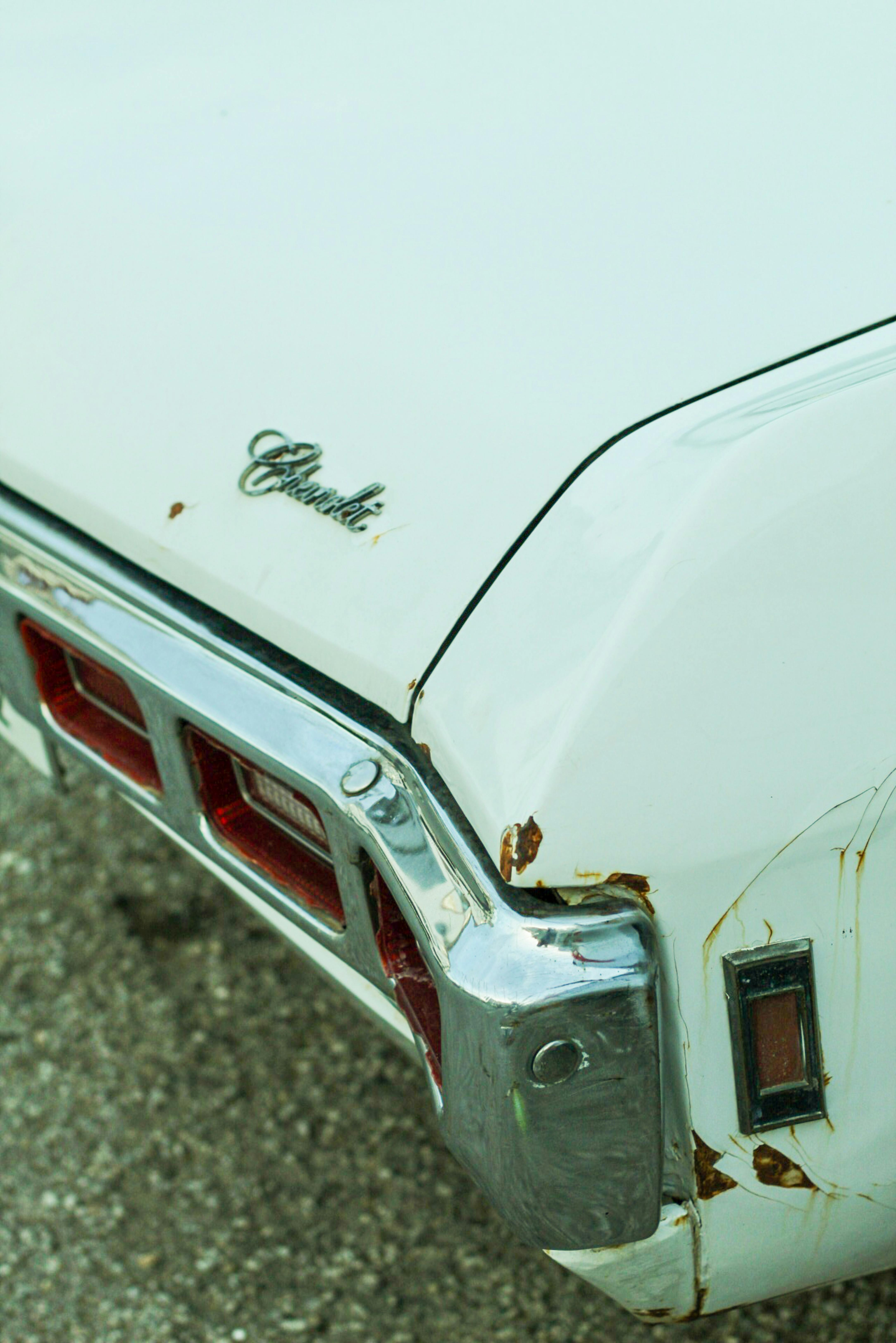 A Rear Bumper of a Blue Chevrolet Corvette Sports Car · Free Stock Photo