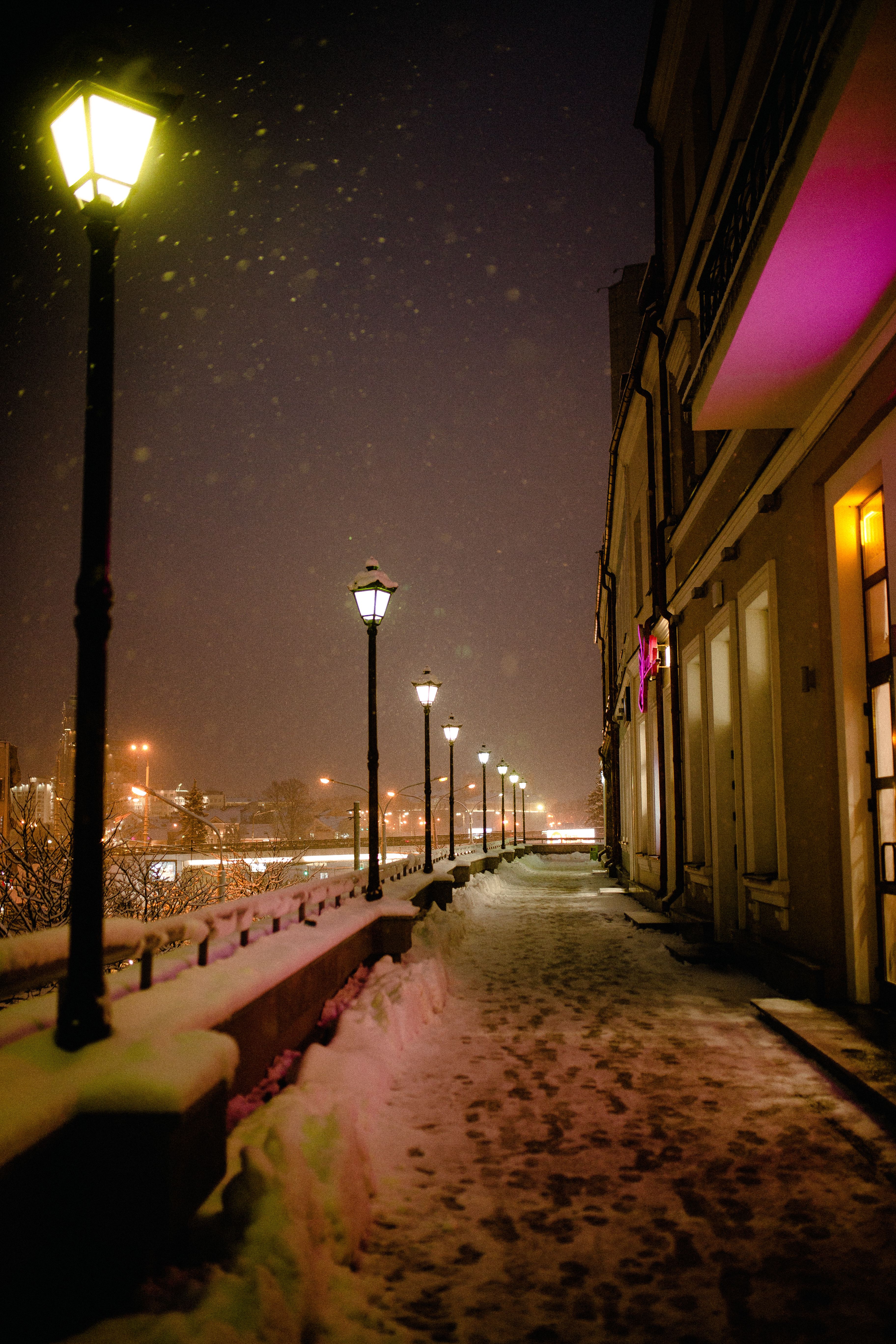 Streetlights along the Sidewalk in Winter · Free Stock Photo
