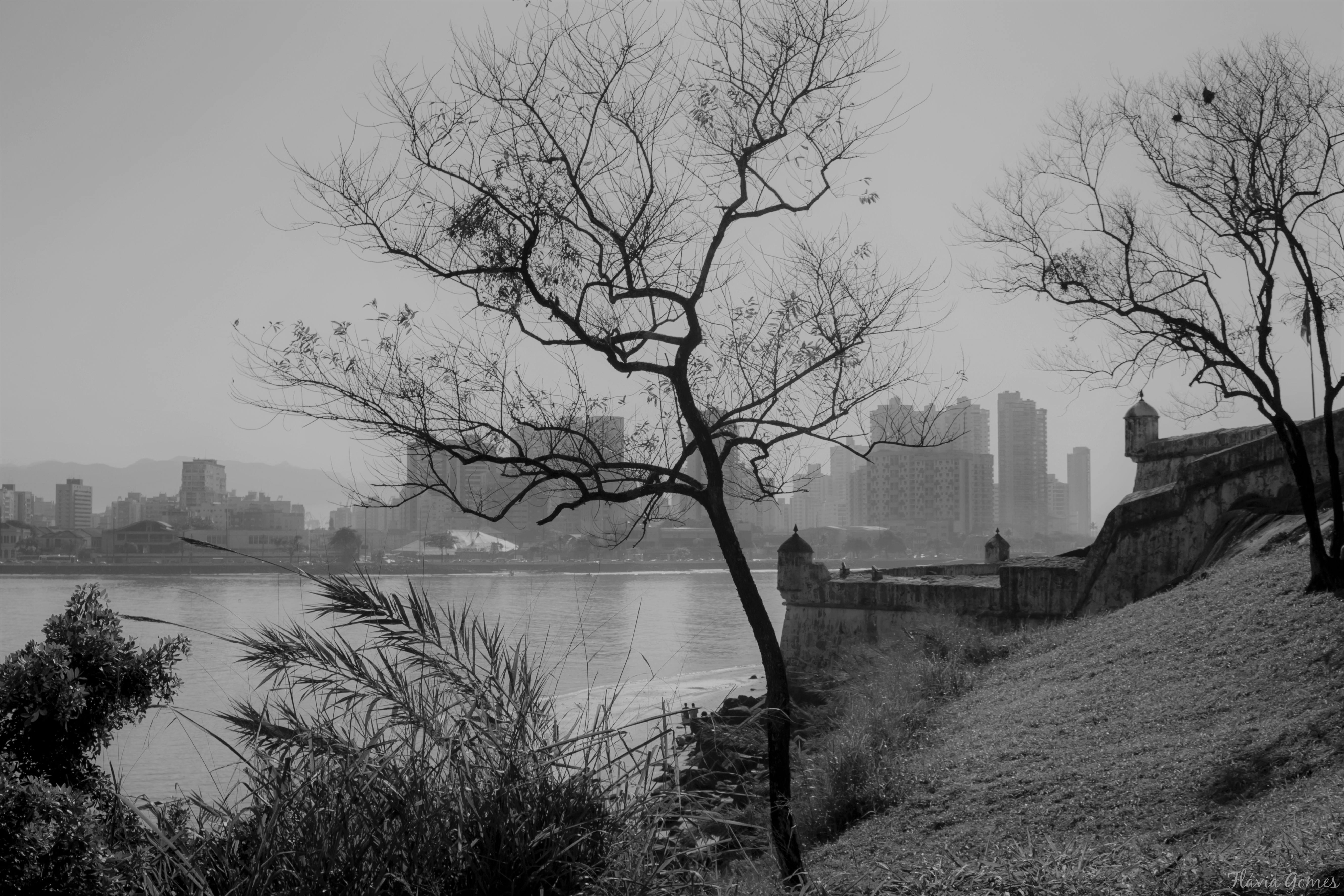 Barren City Photos, Download The BEST Free Barren City Stock Photos ...