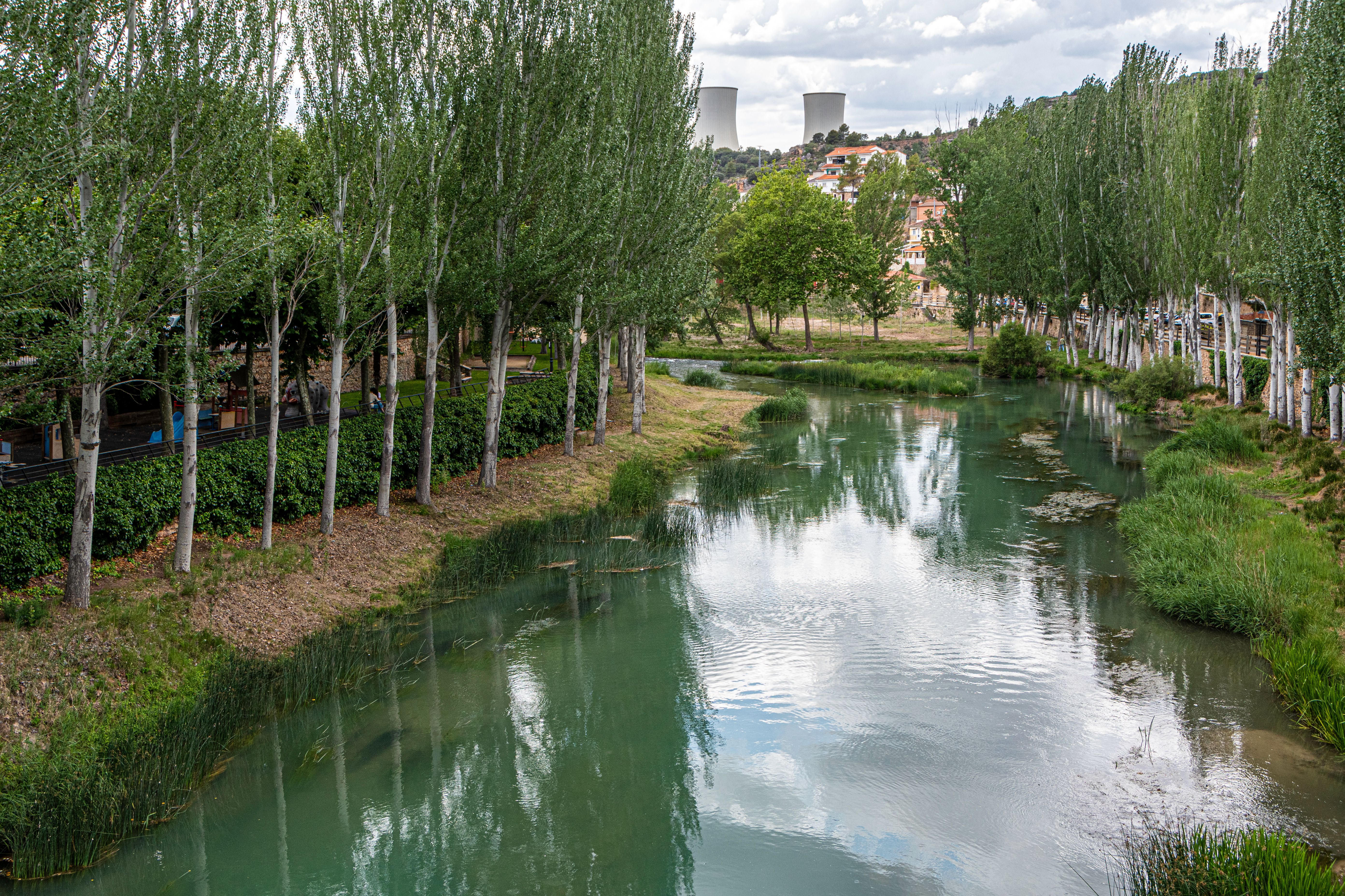 Rows of Birch Trees, and Sky Reflecting in a Canal · Free Stock Photo