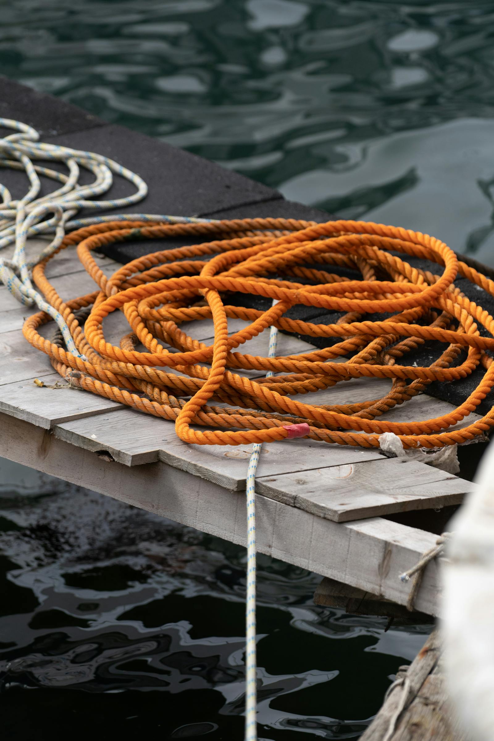 Rope Texture Photos, Download The BEST Free Rope Texture Stock Photos ...