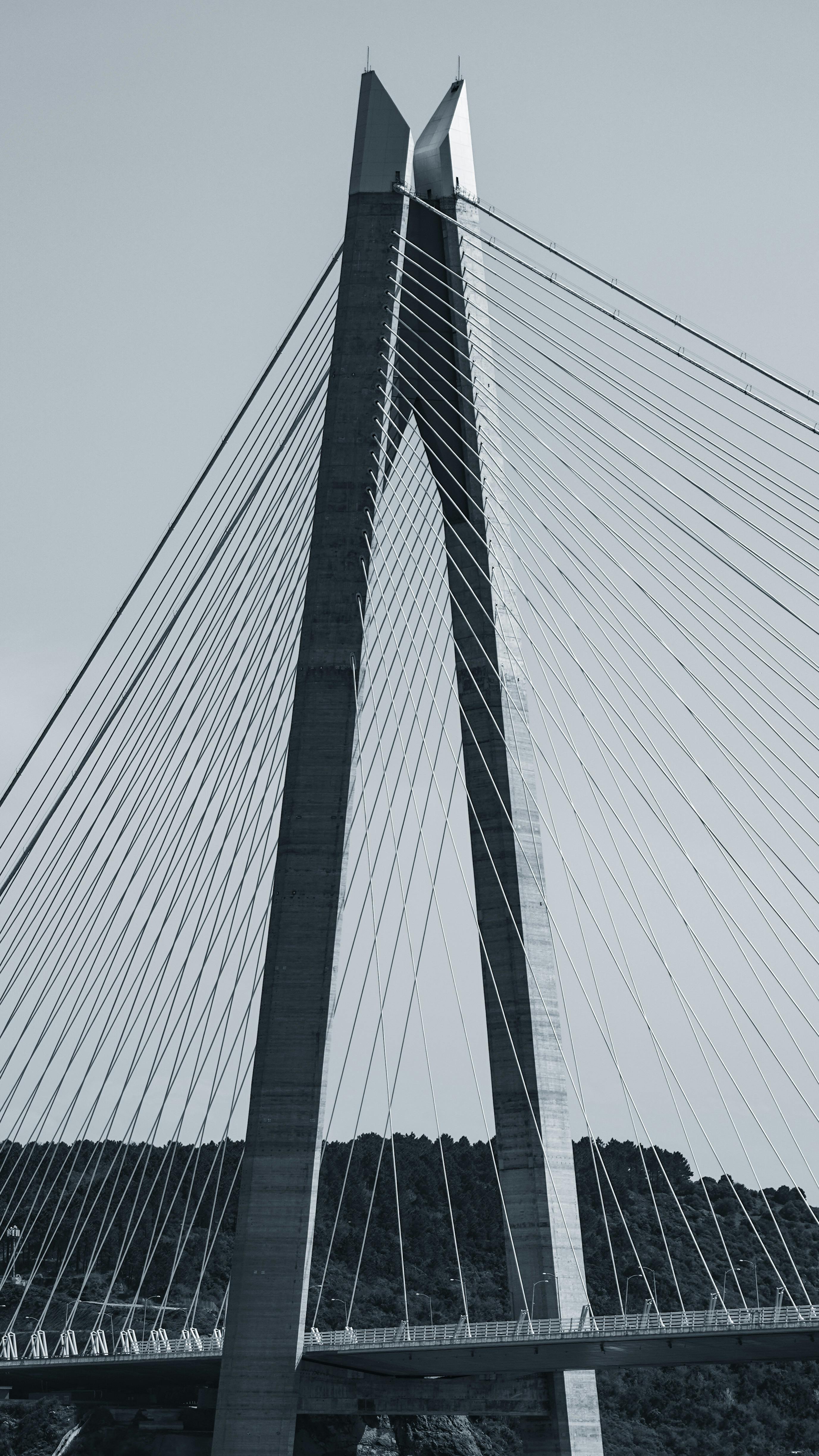 Gray Concrete Bridge in Grayscale Photography · Free Stock Photo