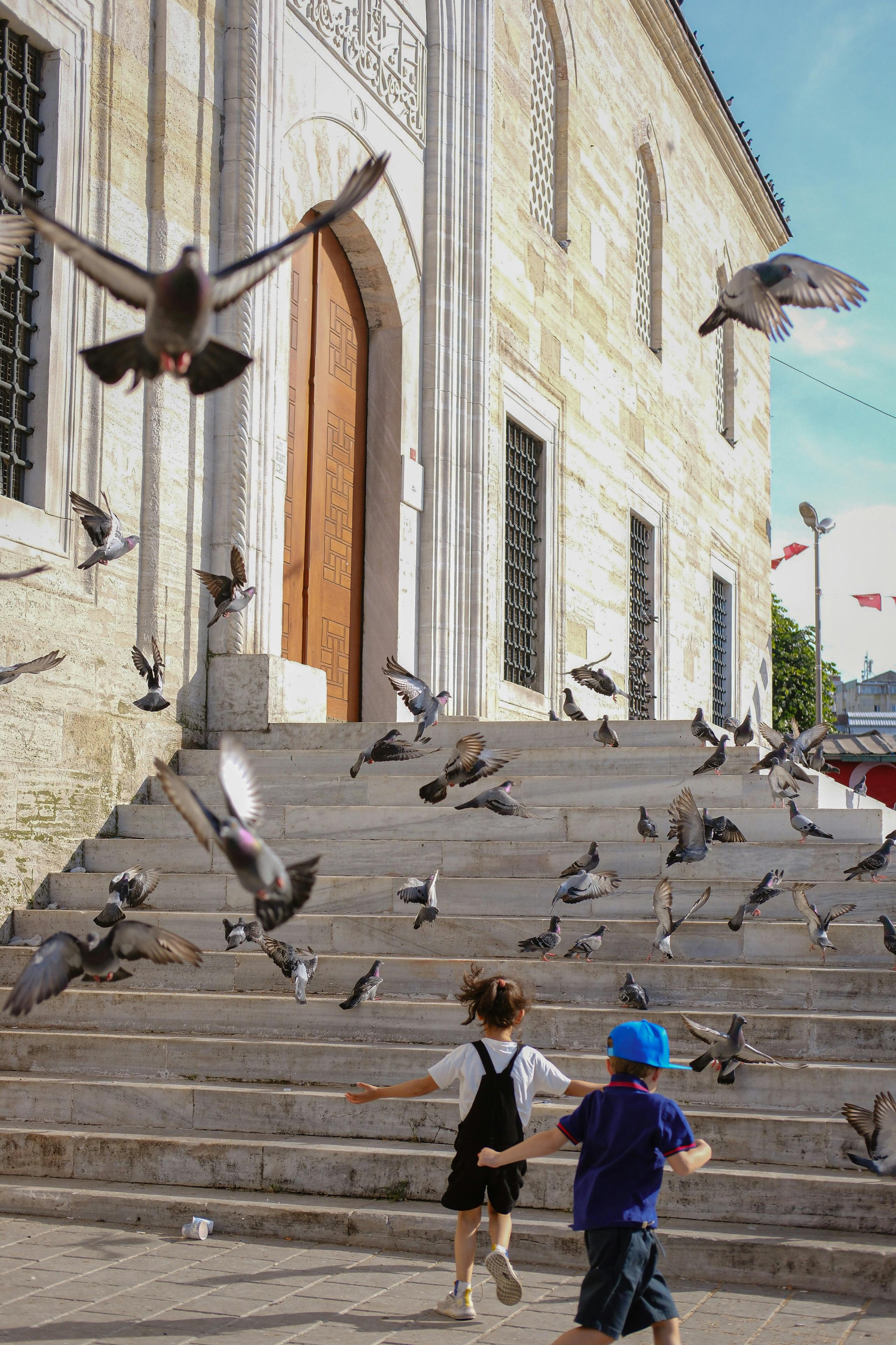 Two children are walking down a set of stairs with pigeons flying ...